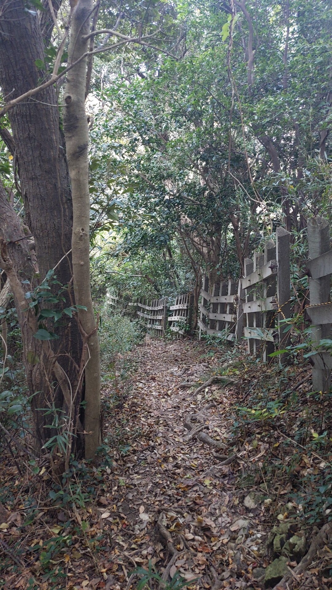 nakameguさんの投稿したフィールドメモ | YAMAP / ヤマップ