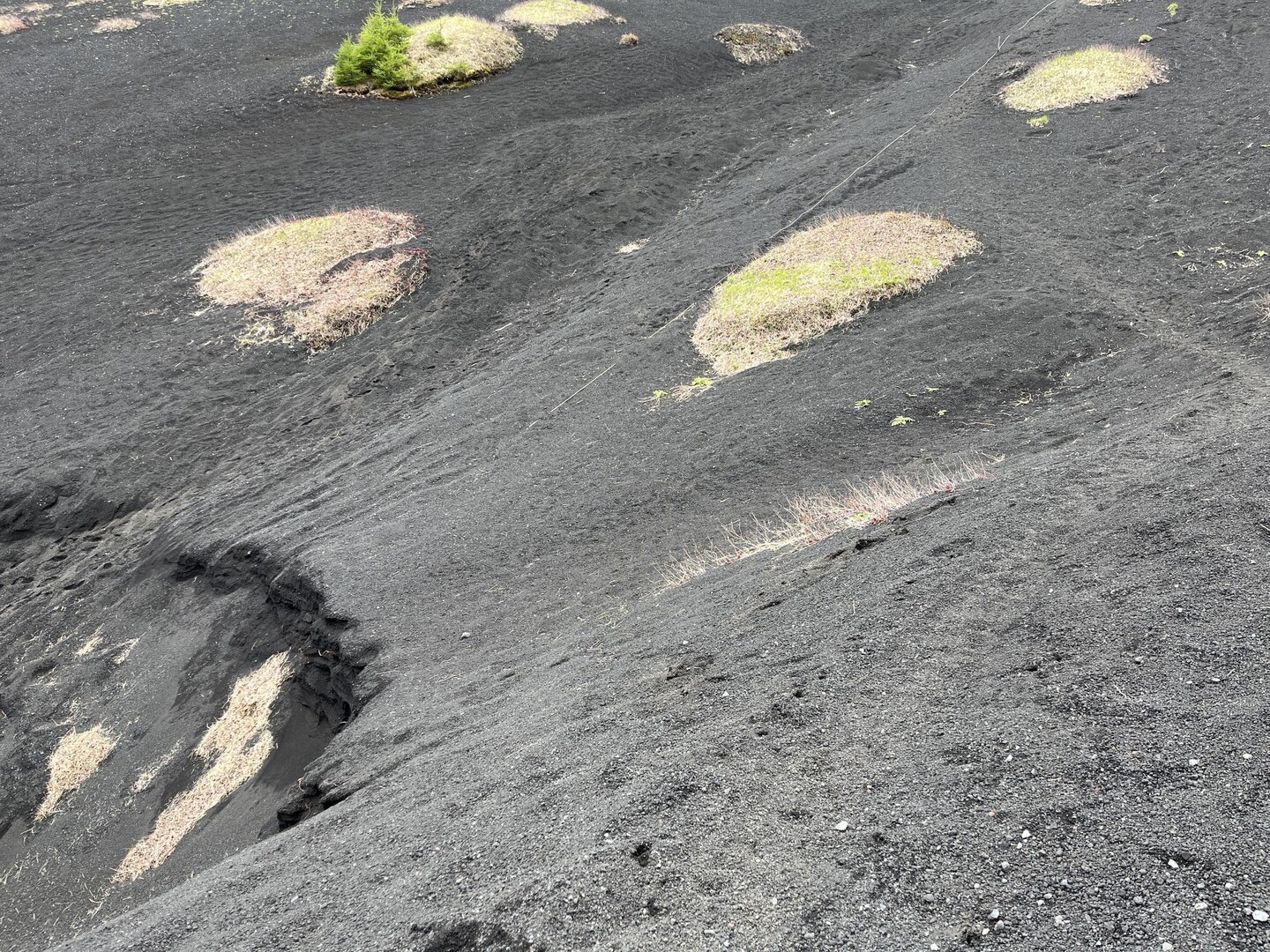 R352さんの投稿したフィールドメモ | YAMAP / ヤマップ