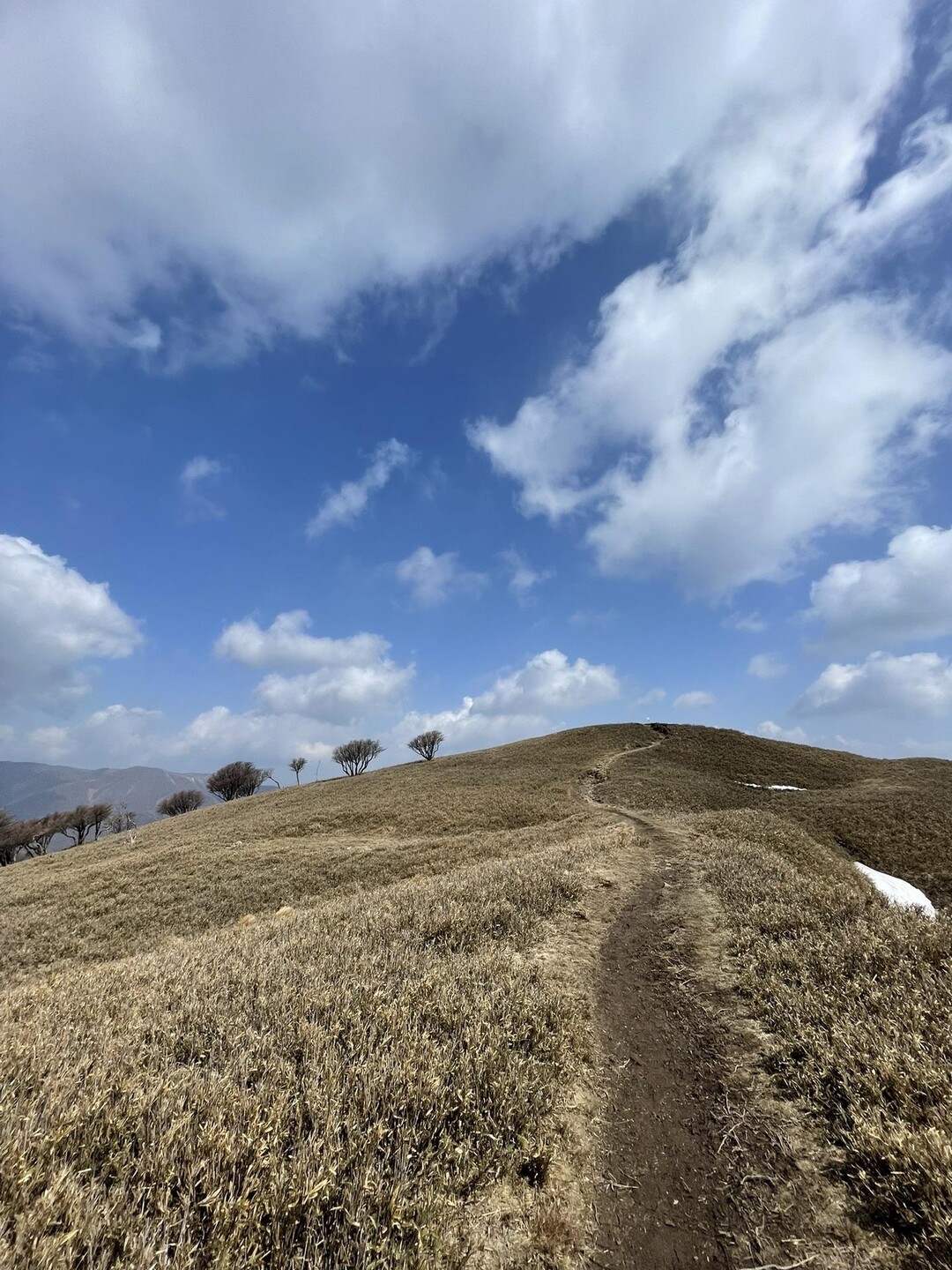 竜ヶ岳 / Bobさんの竜ヶ岳の活動データ | YAMAP / ヤマップ