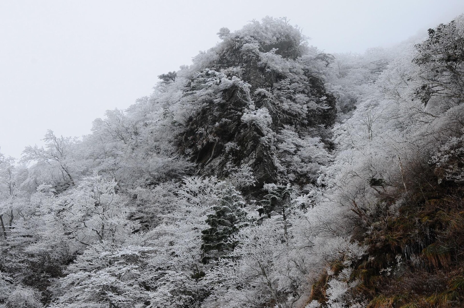 2019/11 霧氷 UFO ライン ... / ポンコツ山太郎さんのモーメント | YAMAP / ヤマップ