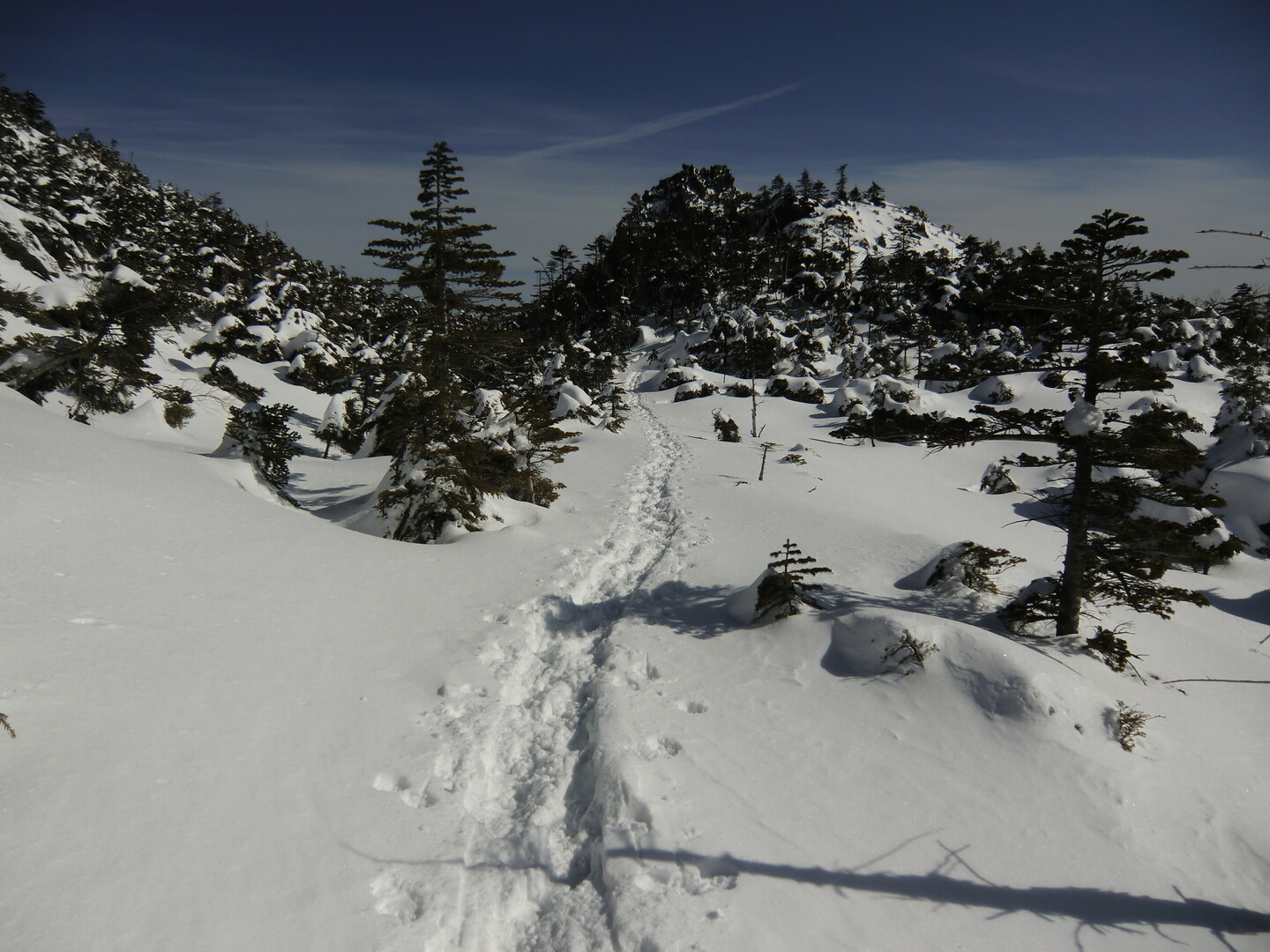 2015-02-07 北横岳・雨池山 / al56さんの蓼科山・横岳・縞枯山の活動データ | YAMAP / ヤマップ