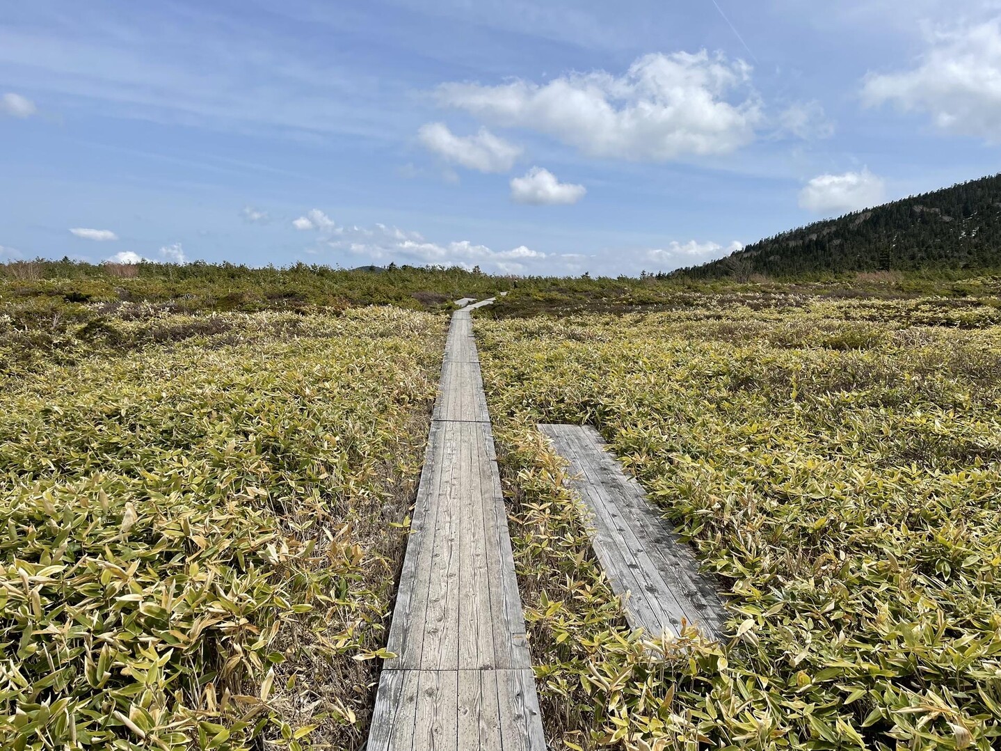 2023.05.21(日) 22:30 / ケロケロ🐸🐸🐸さんのモーメント | YAMAP / ヤマップ