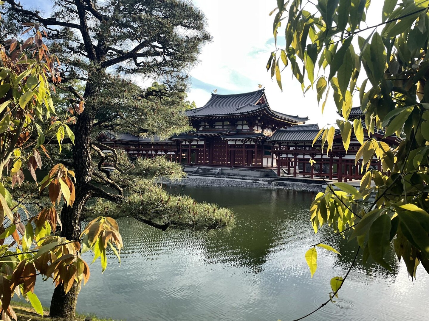 石山→岩間山→宇治(近場トレイル) / HASEさんの音羽山・醍醐山の活動データ | YAMAP / ヤマップ