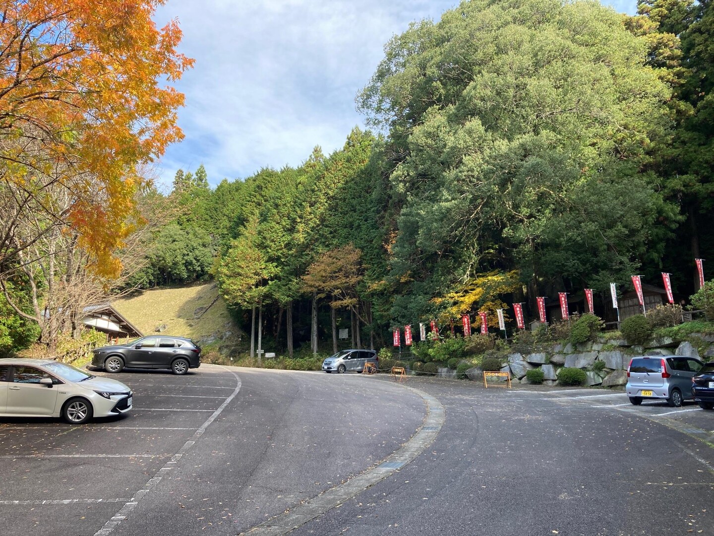 NORYさんの投稿したフィールドメモ | YAMAP / ヤマップ