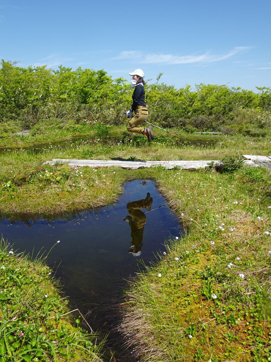 白木峰 / まるっぷさんの白木峰・小白木峰の活動データ | YAMAP / ヤマップ