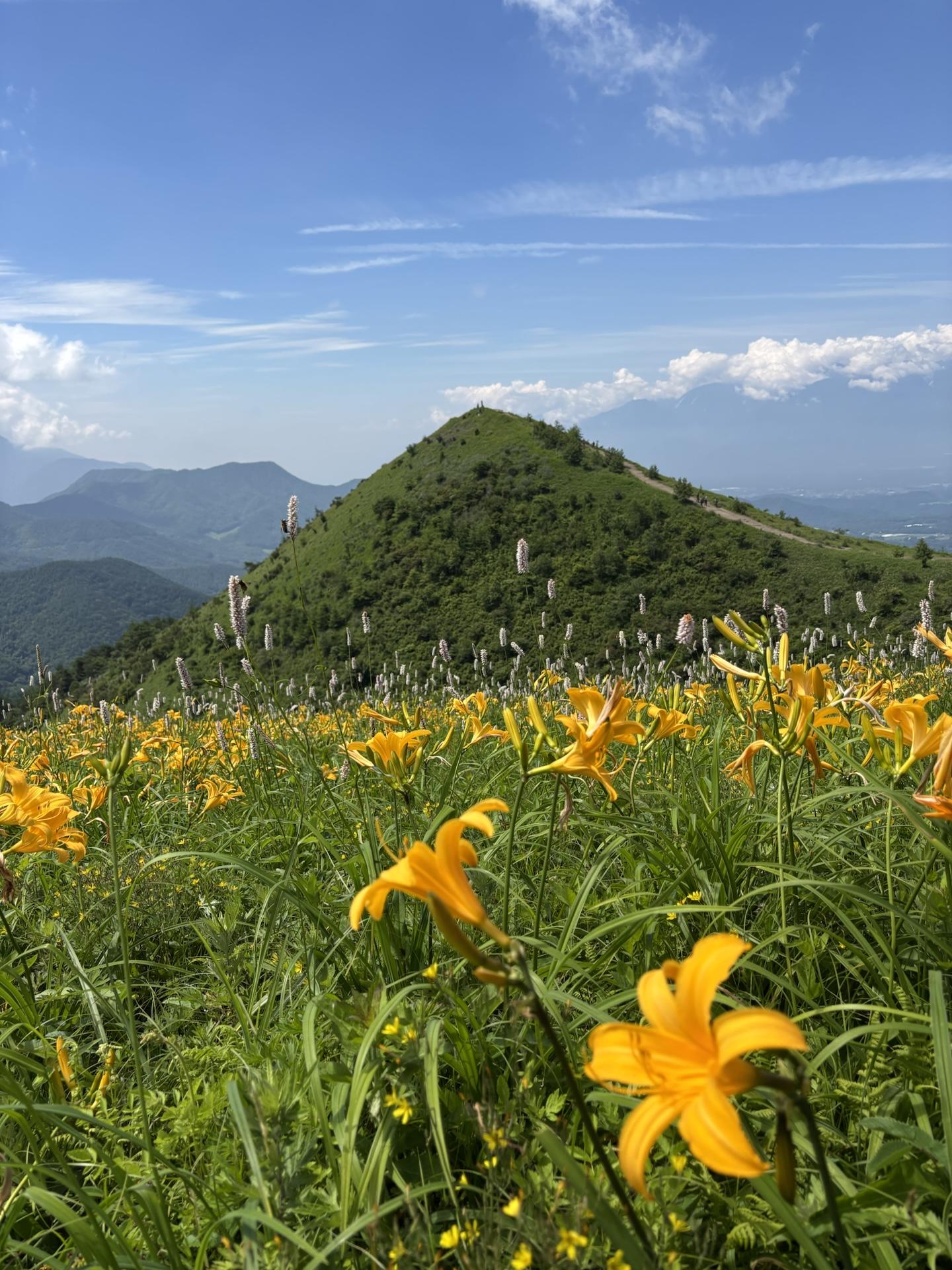 飯盛山・大盛山 / misaさんの飯盛山の活動データ | YAMAP / ヤマップ