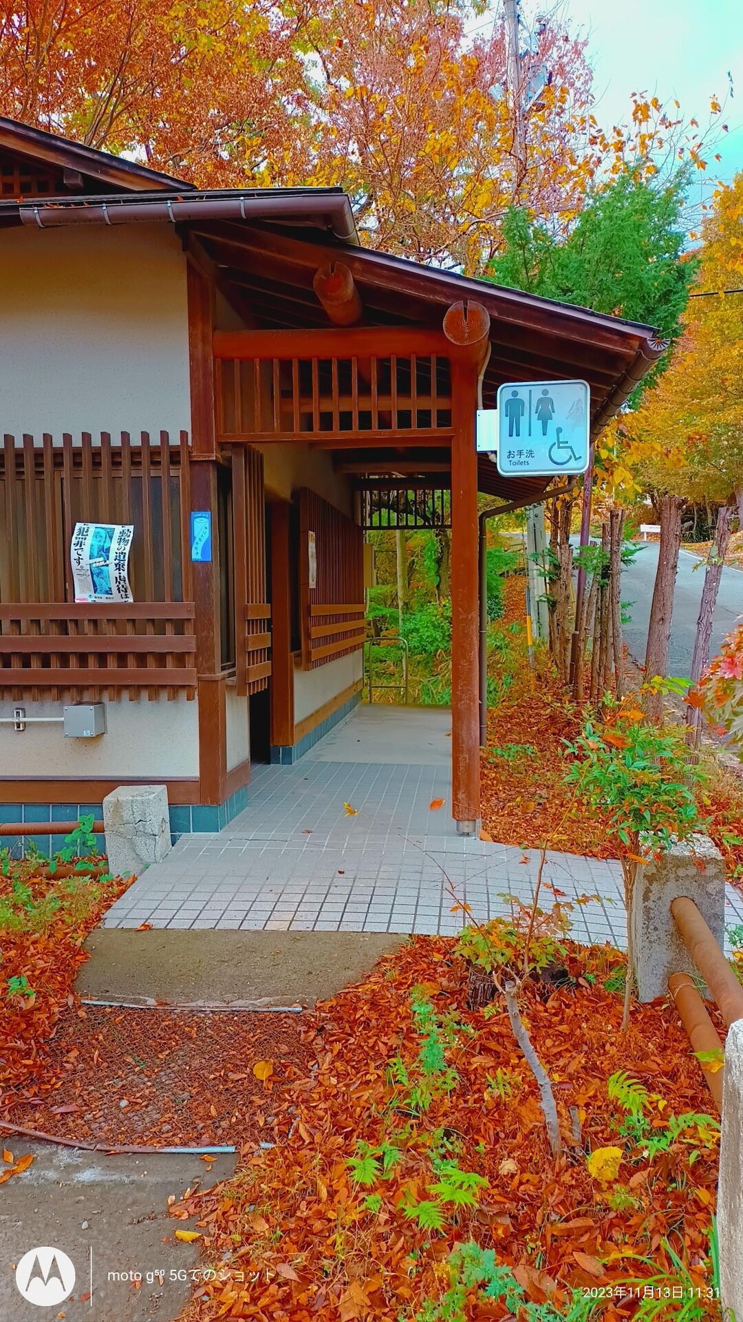 man forestさんの投稿したフィールドメモ | YAMAP / ヤマップ