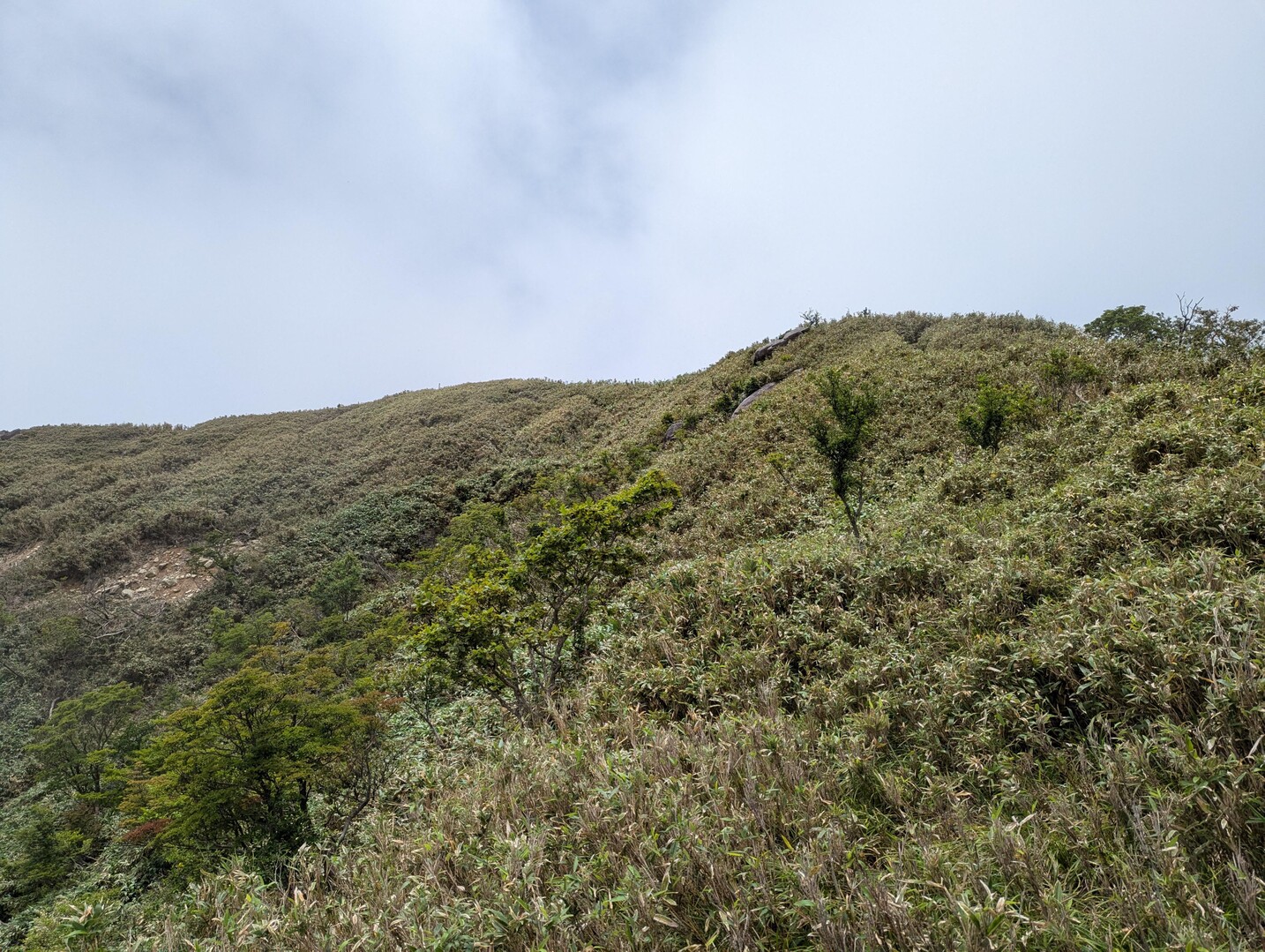 鈴鹿7M／迷い道？した東雨乞岳・雨乞岳 / ジロさんさんの御在所岳（御在所山）・雨乞岳の活動データ | YAMAP / ヤマップ