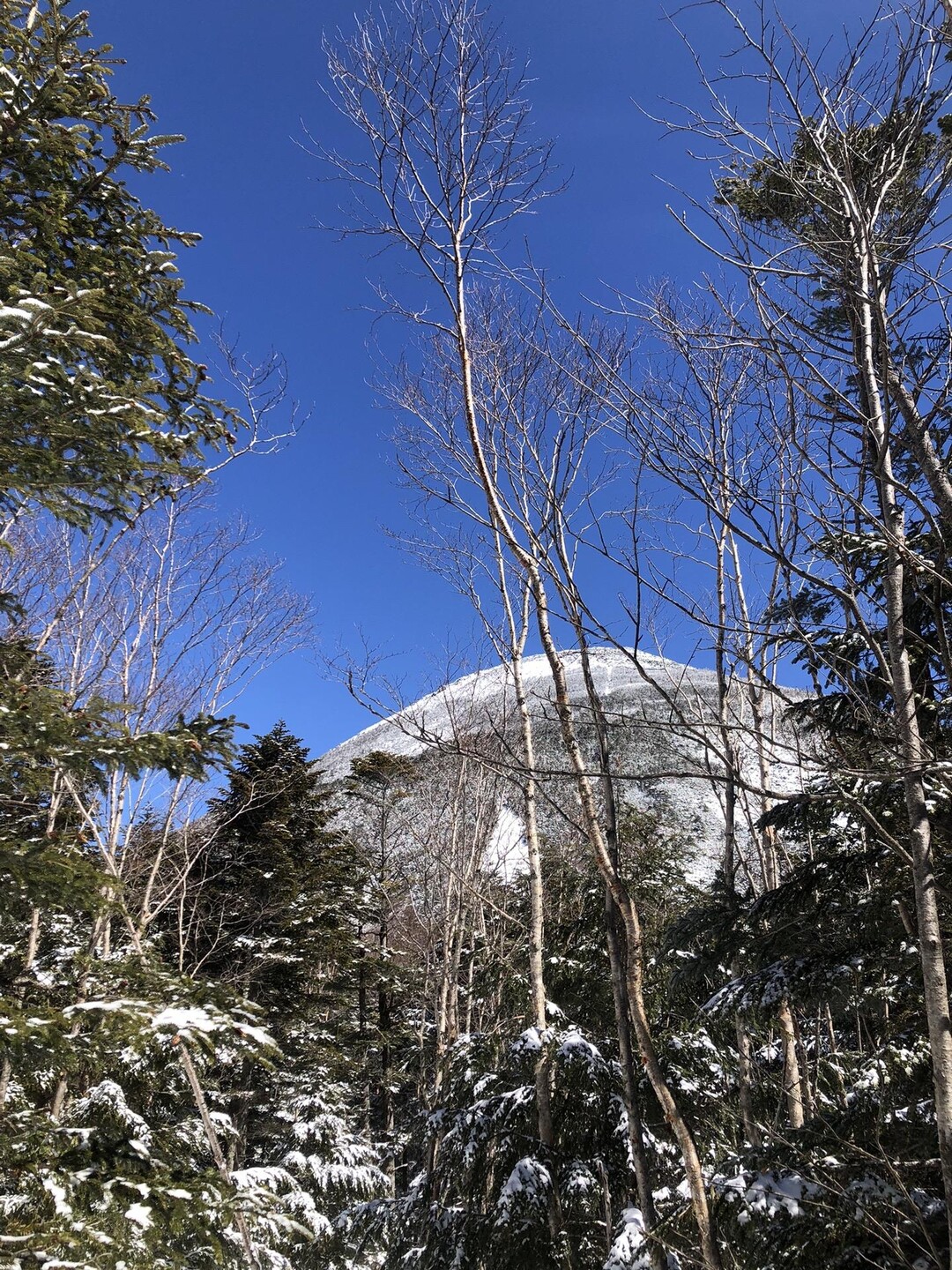 蓼科山 / sueさんの蓼科山・横岳・縞枯山の活動データ | YAMAP / ヤマップ