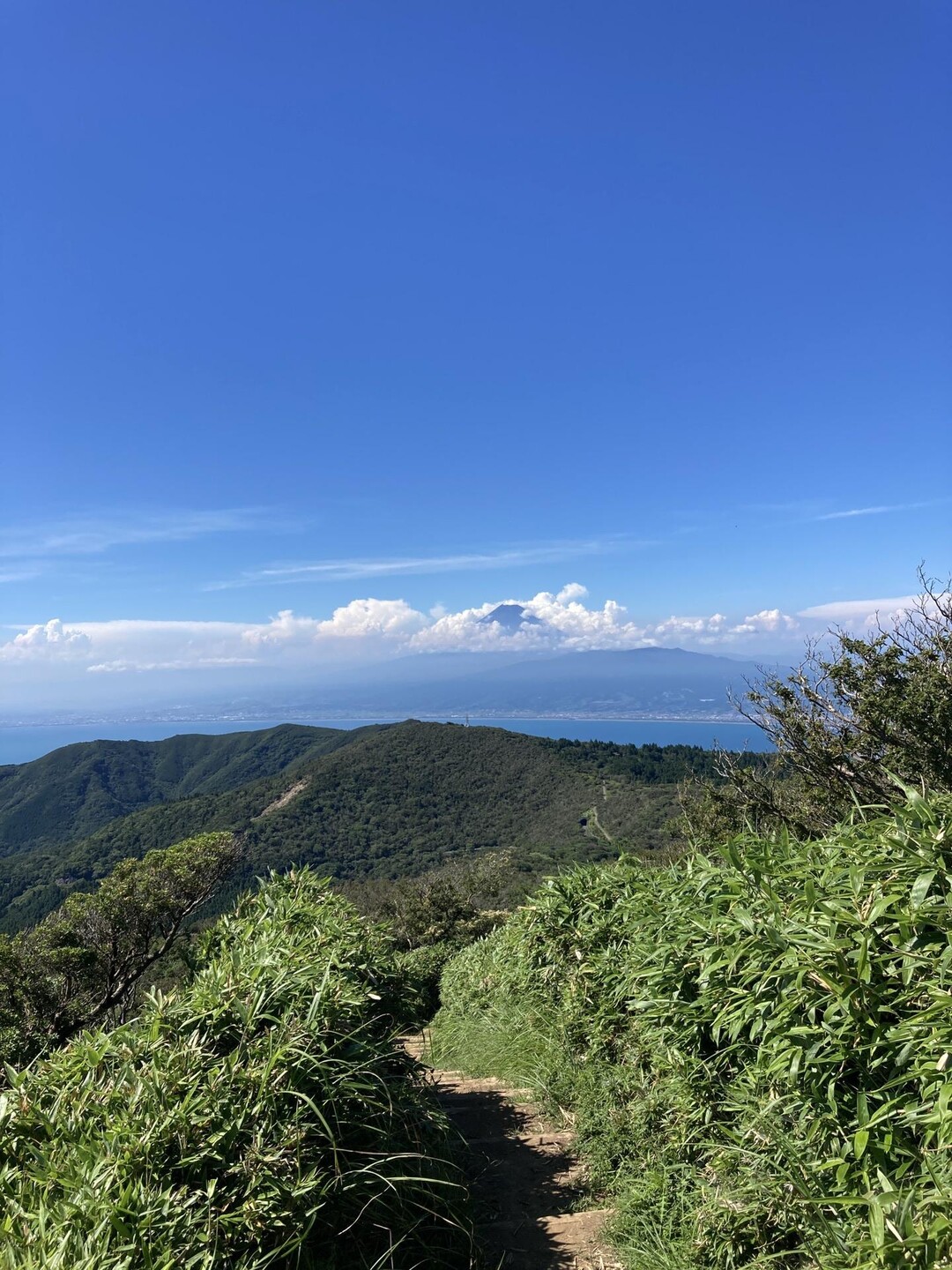ITJコース試走？戸田峠〜魂の山ピストン / noomo-0209さんの金冠山・達磨山・葛城山の活動日記 | YAMAP / ヤマップ
