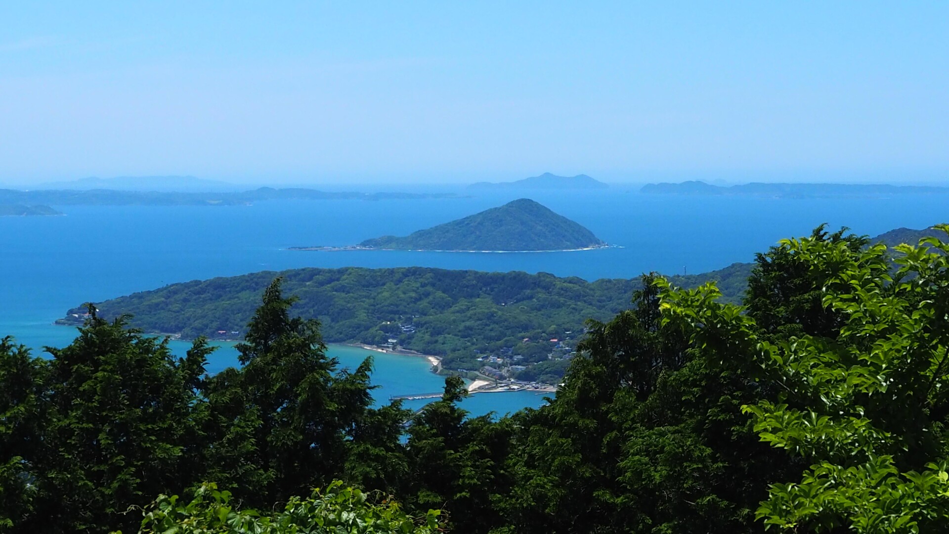 可也山でイチヤクソウ / 真ちゃんJI-JIさんの可也山・火山の活動データ | YAMAP / ヤマップ