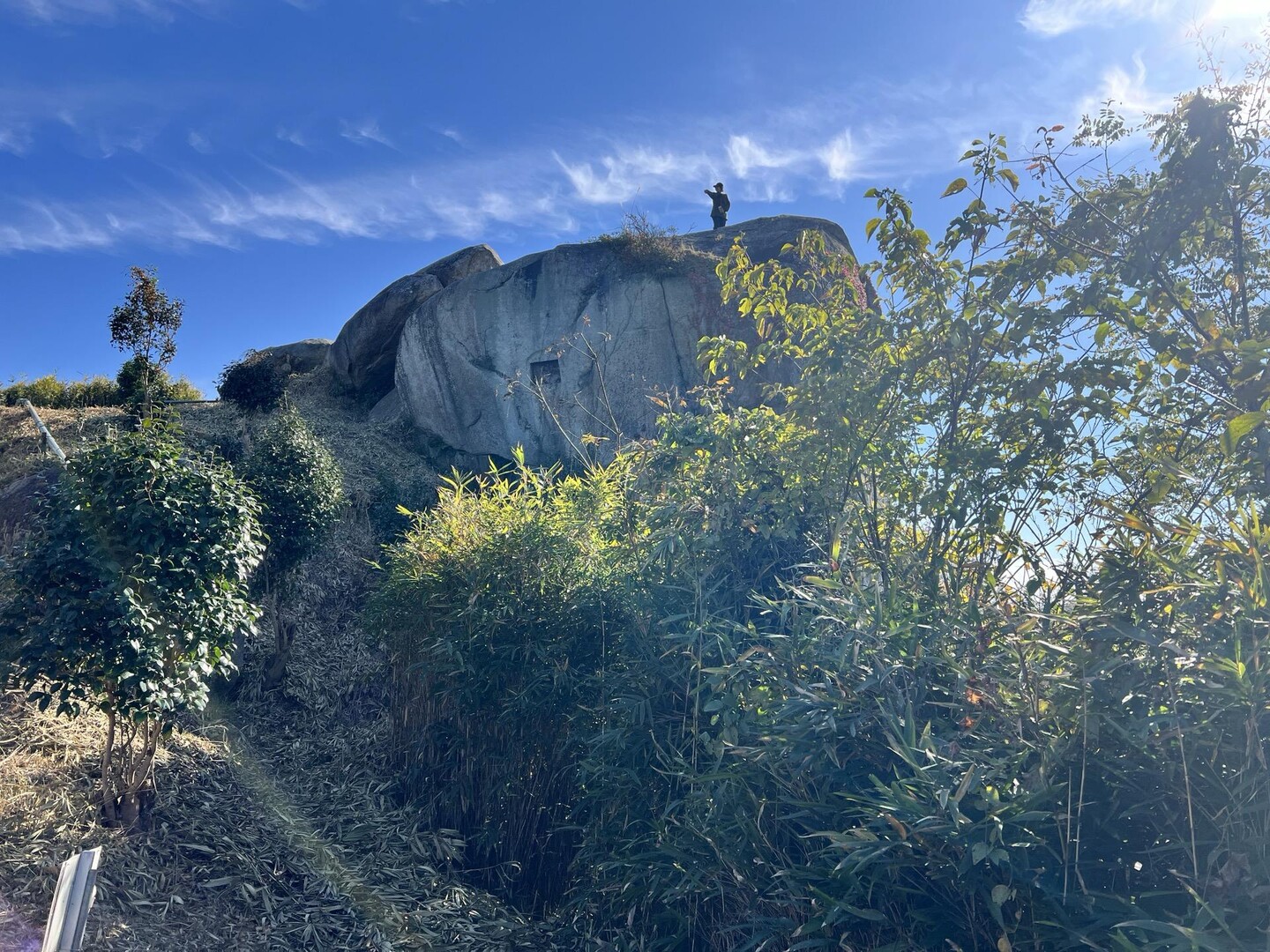 国見山・交野山 / L maikさんの交野山・国見山の活動データ | YAMAP / ヤマップ