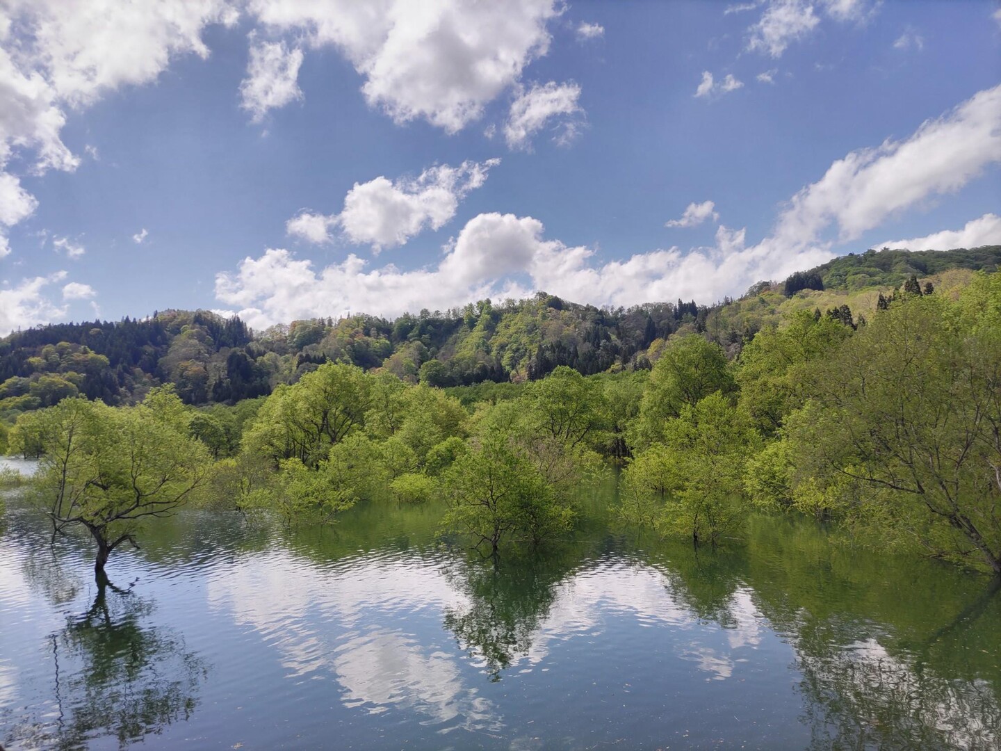 結婚式準備でGW何処にも行ってないから、... / あんこさんのモーメント | YAMAP / ヤマップ