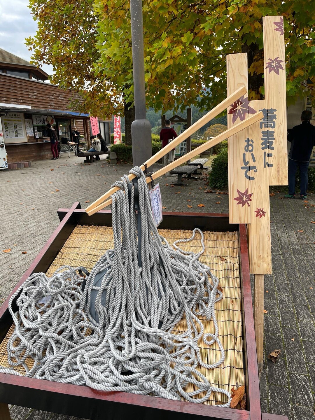 一日で常陸国ロングトレイル②道の駅さとみ / Sakiさんの東金砂山・妙見山の活動データ | YAMAP / ヤマップ