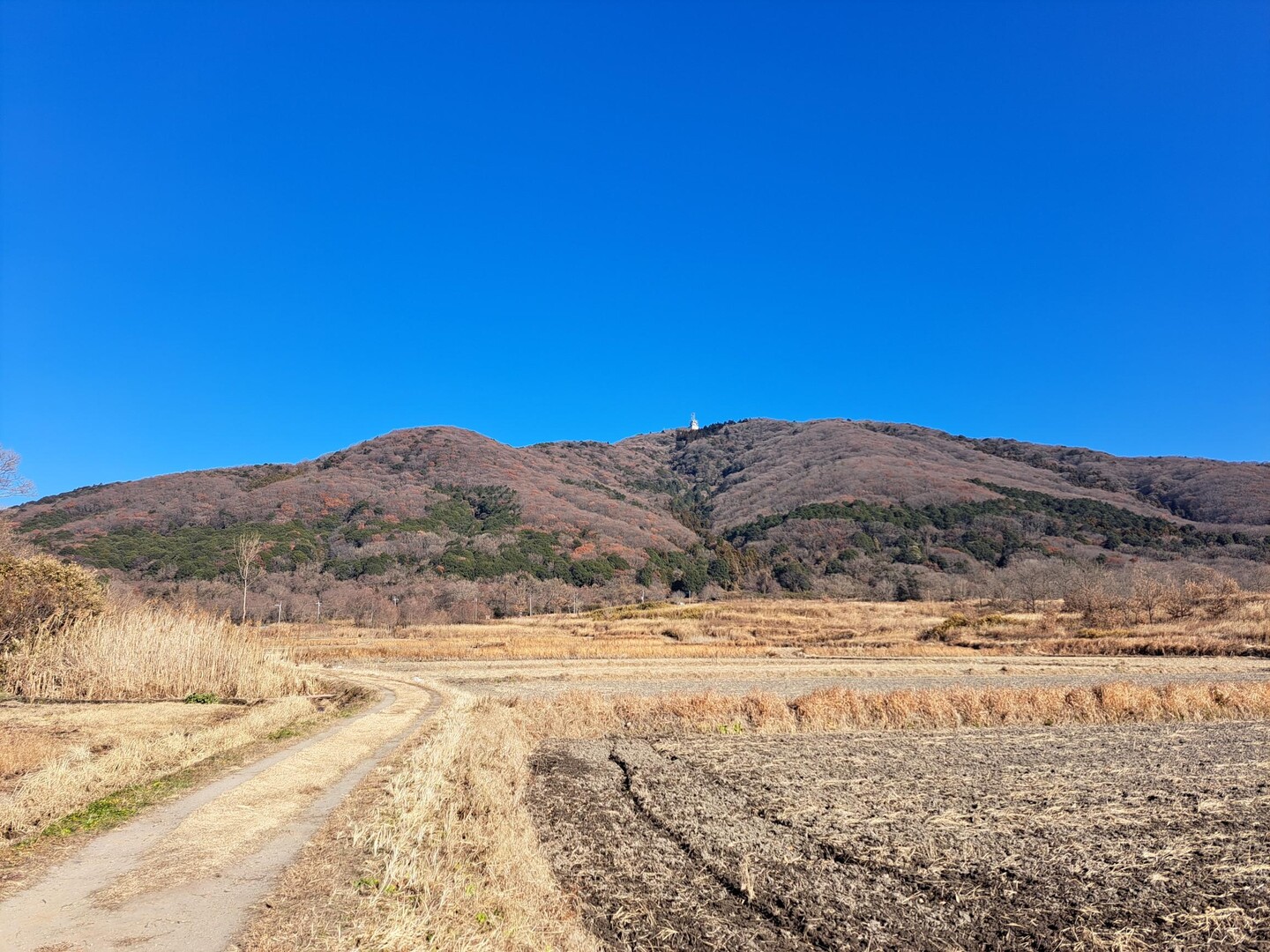 宝篋山_24登り納め / nem山さんの宝篋山・富岡山の活動データ | YAMAP / ヤマップ