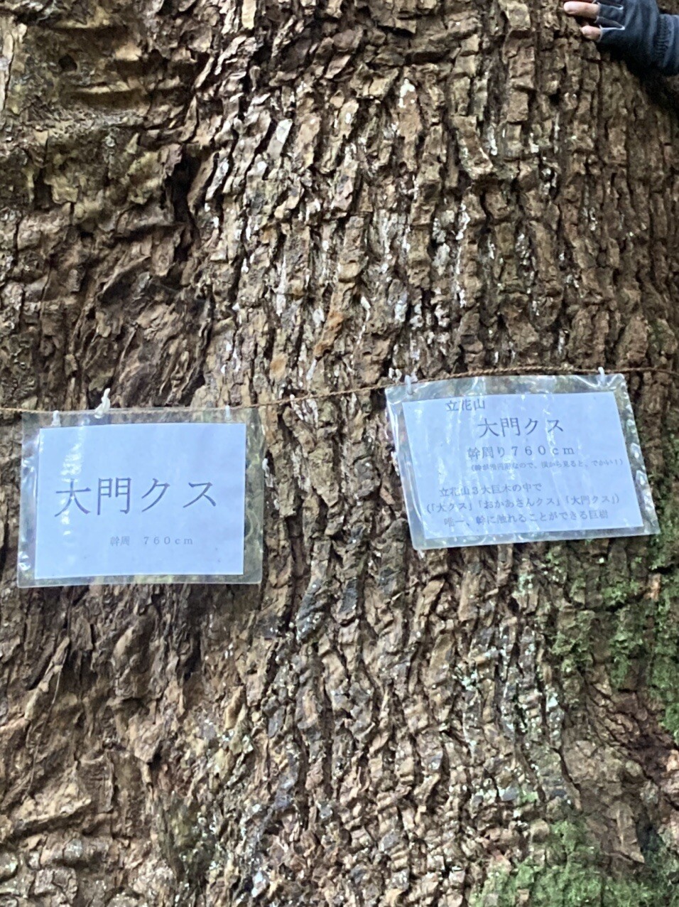 hiyoさんの投稿したフィールドメモ | YAMAP / ヤマップ