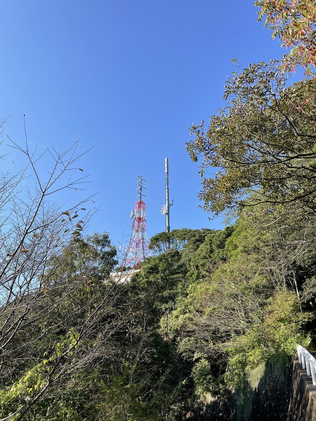 愛宕山 / 福ちゃんさんの愛宕山の活動データ | YAMAP / ヤマップ