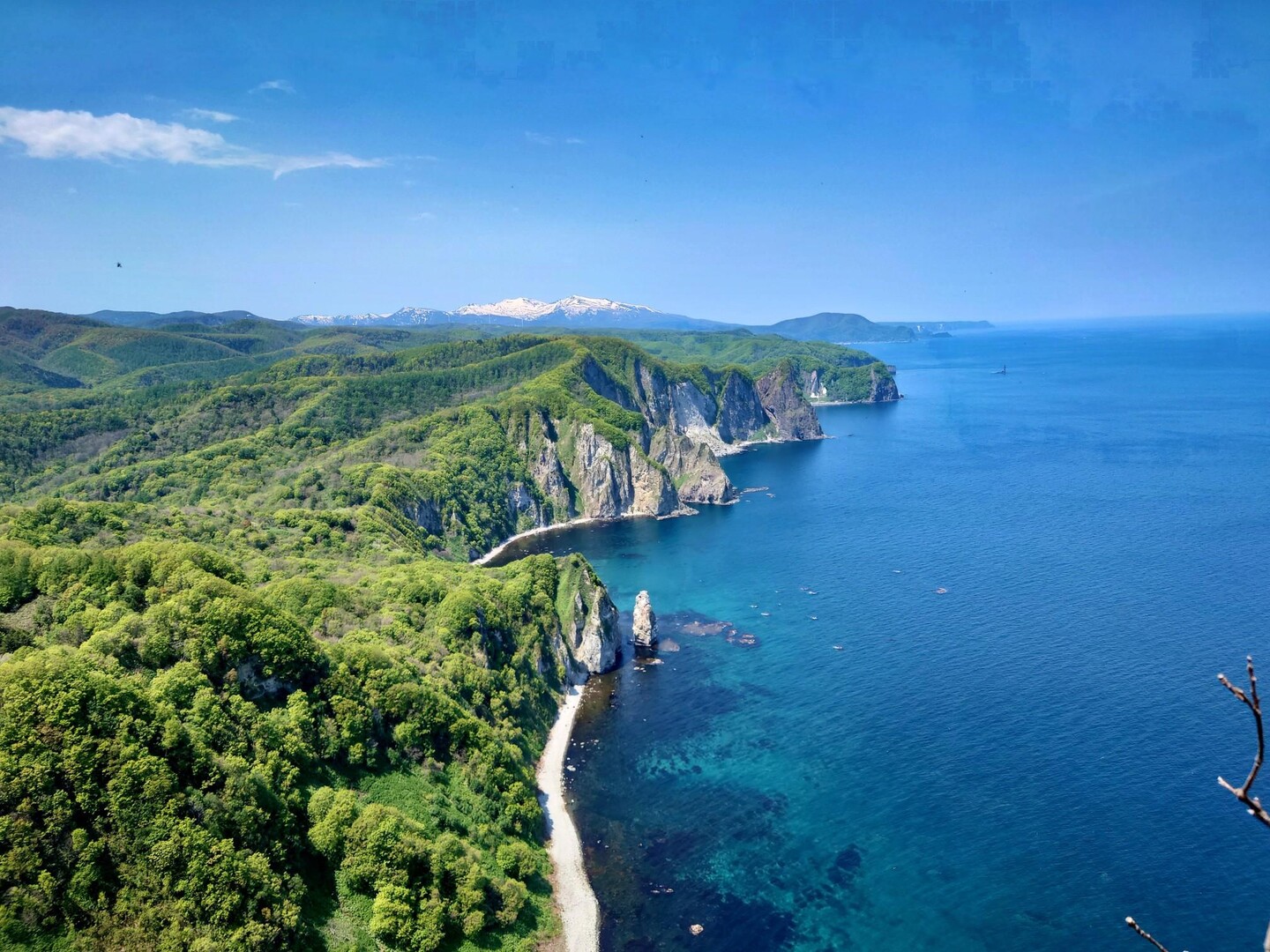 尻場山〜積丹ブルーを求めて〜 / Kana-Coさんの尻場山の活動データ | YAMAP / ヤマップ