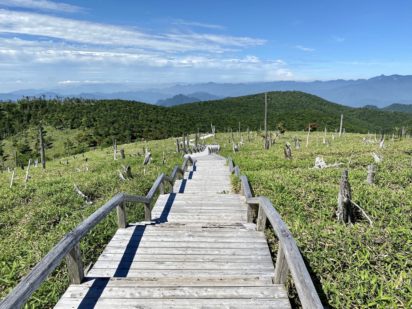 大台ヶ原山（日出ヶ岳） 2022-07-02 / Allyさんの大台ヶ原山・日出ヶ岳・大杉谷の活動データ | YAMAP / ヤマップ