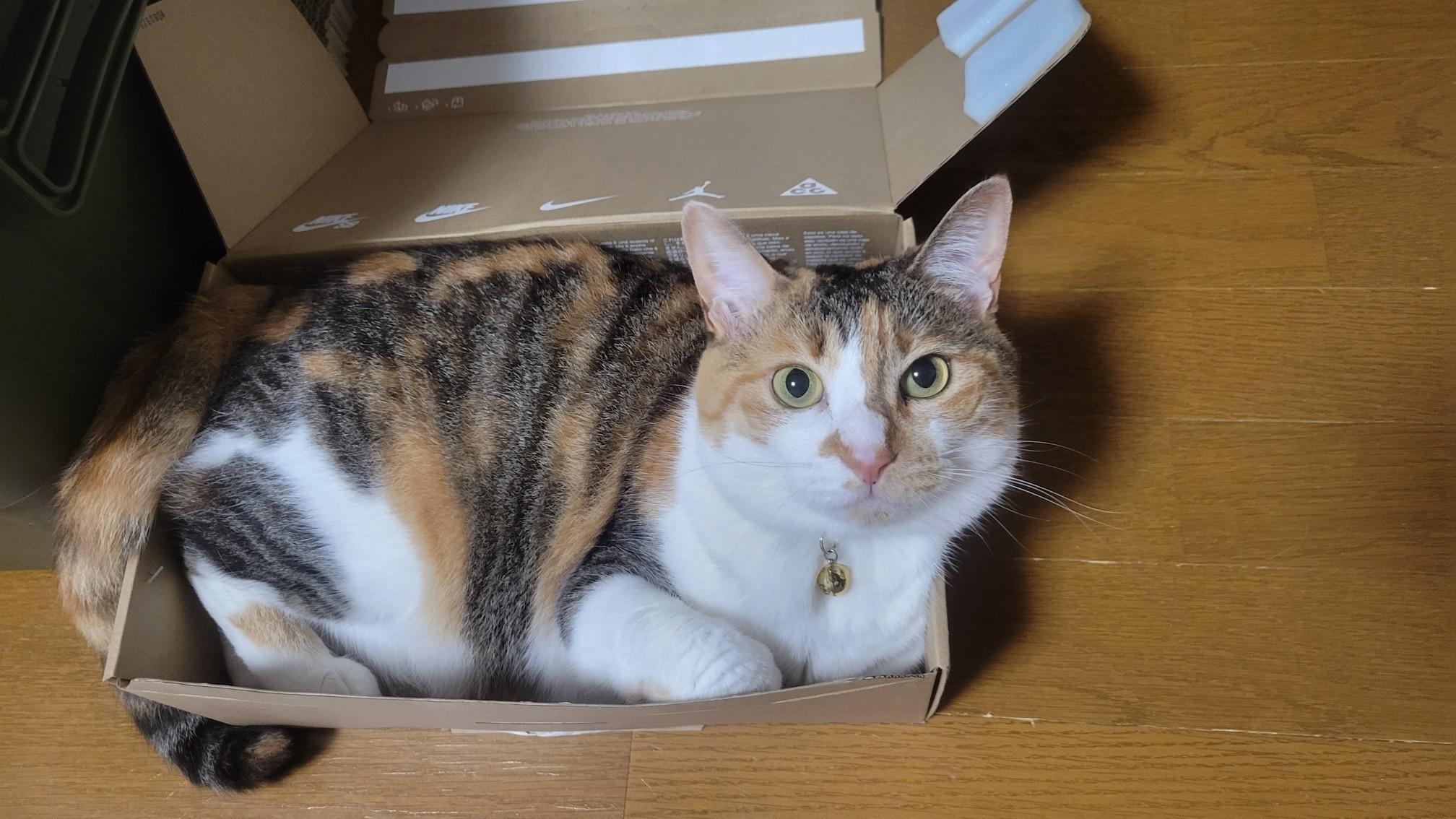 5月17日うまっこ山から見える風景です。... / あずまさんのモーメント | YAMAP / ヤマップ