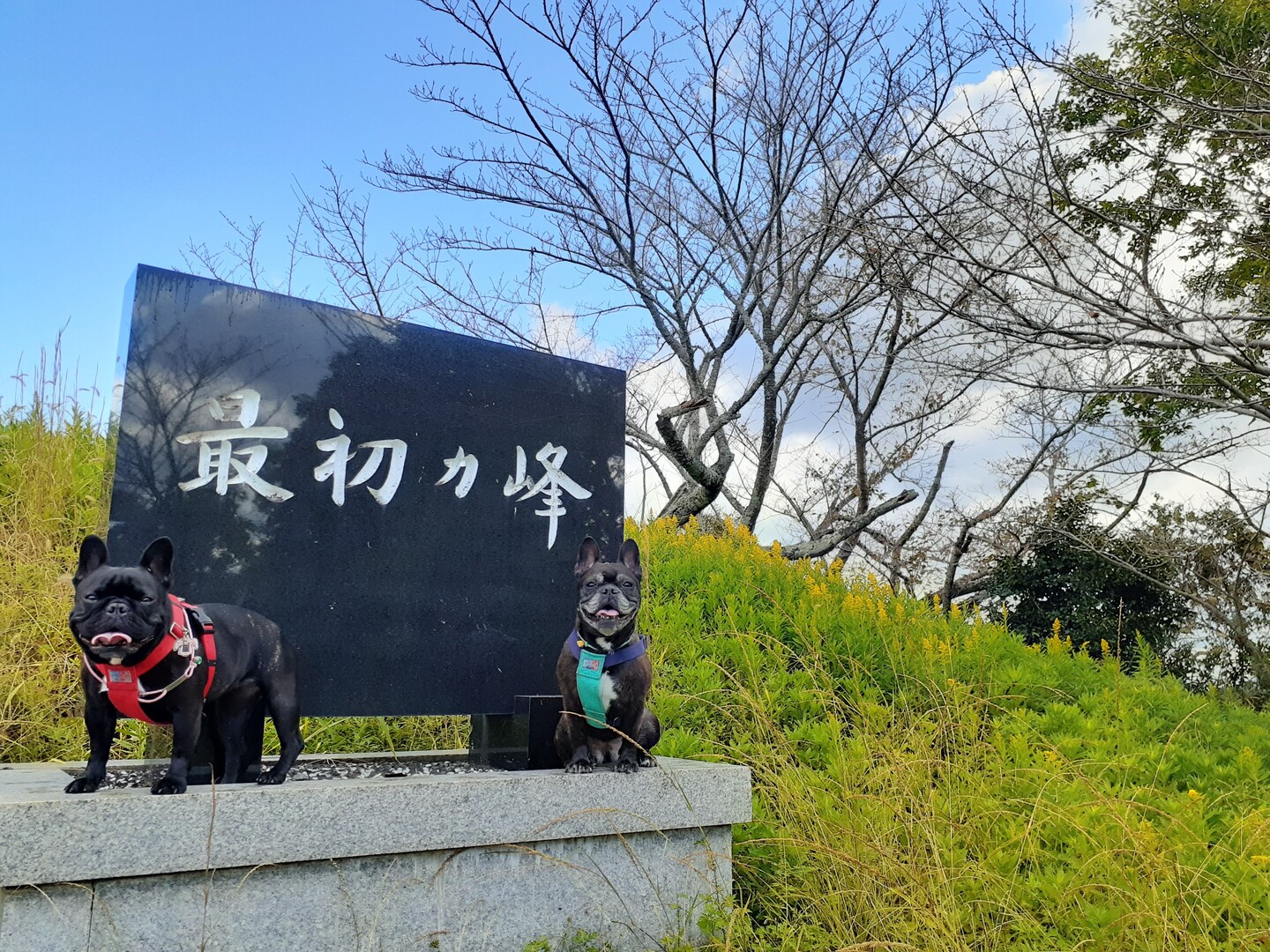 あたしたちの季節よ～⤴️⤴️ 涼しくなっ... / Noriさんのモーメント | YAMAP / ヤマップ