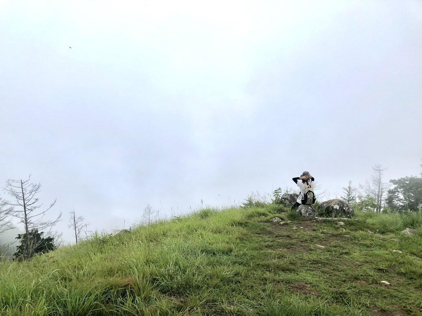 山梨百名山⛰️棚根入ノ頭・大沢ノ頭・小楢山 / oma1173さんの小楢山・妙見山・乙女高原の活動データ | YAMAP / ヤマップ