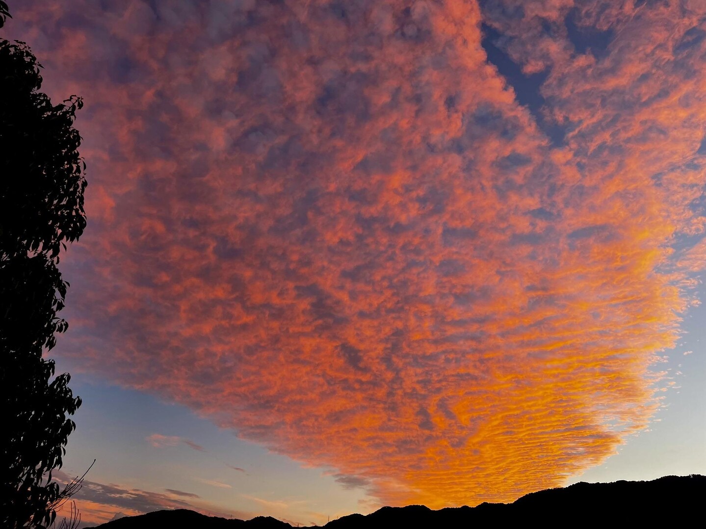 大応山 火山噴火🌋したと思った はる... / GONKEさんのモーメント | YAMAP / ヤマップ