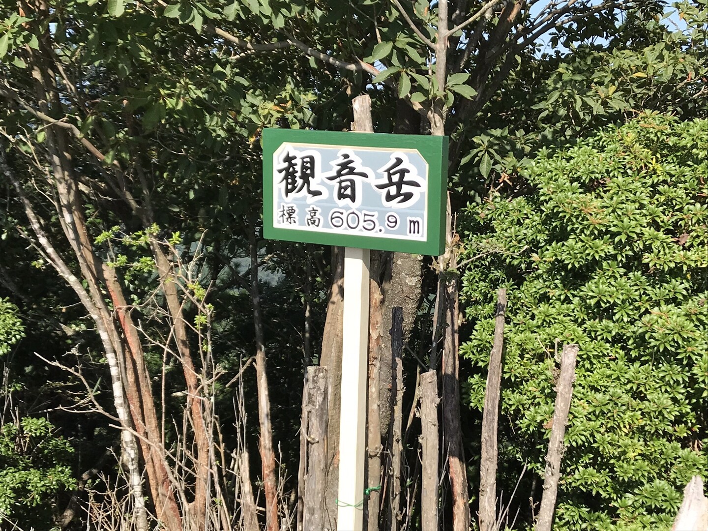 10/2観音岳 10/3火打石 9/末東宮不動滝他 / issanさんの七洞岳・獅子ヶ岳の活動データ | YAMAP / ヤマップ