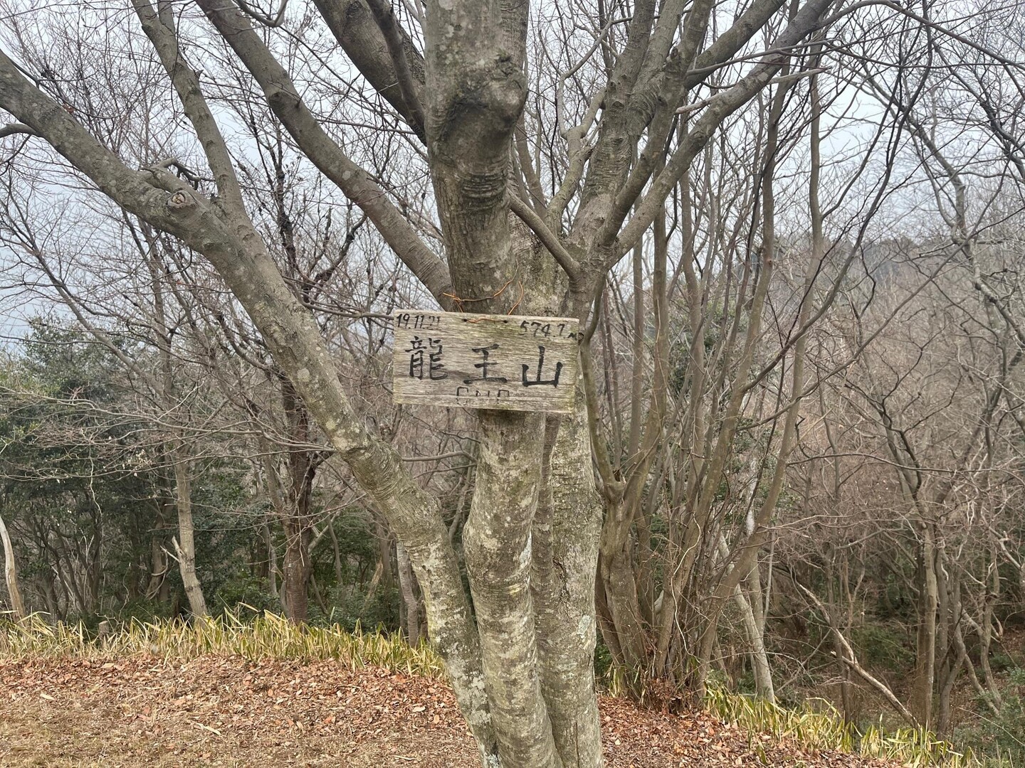 龍王山⛰️ / Mt.masuさんの龍王山の活動データ | YAMAP / ヤマップ