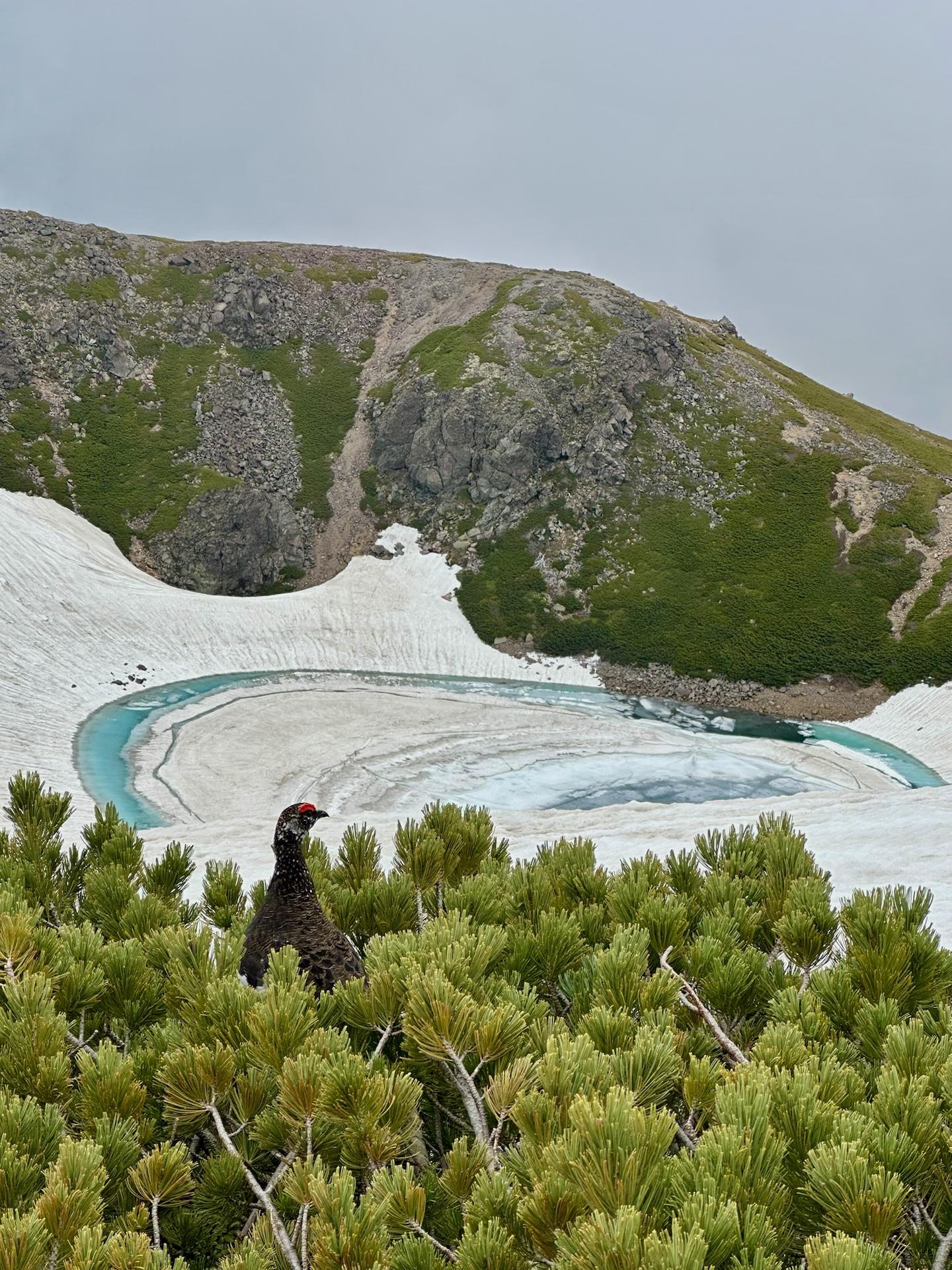ドラゴンアイ🐲を求めて😆飛騨頂上・摩利支天山 / aayanさんの御嶽山・継子岳・摩利支天山の活動データ | YAMAP / ヤマップ