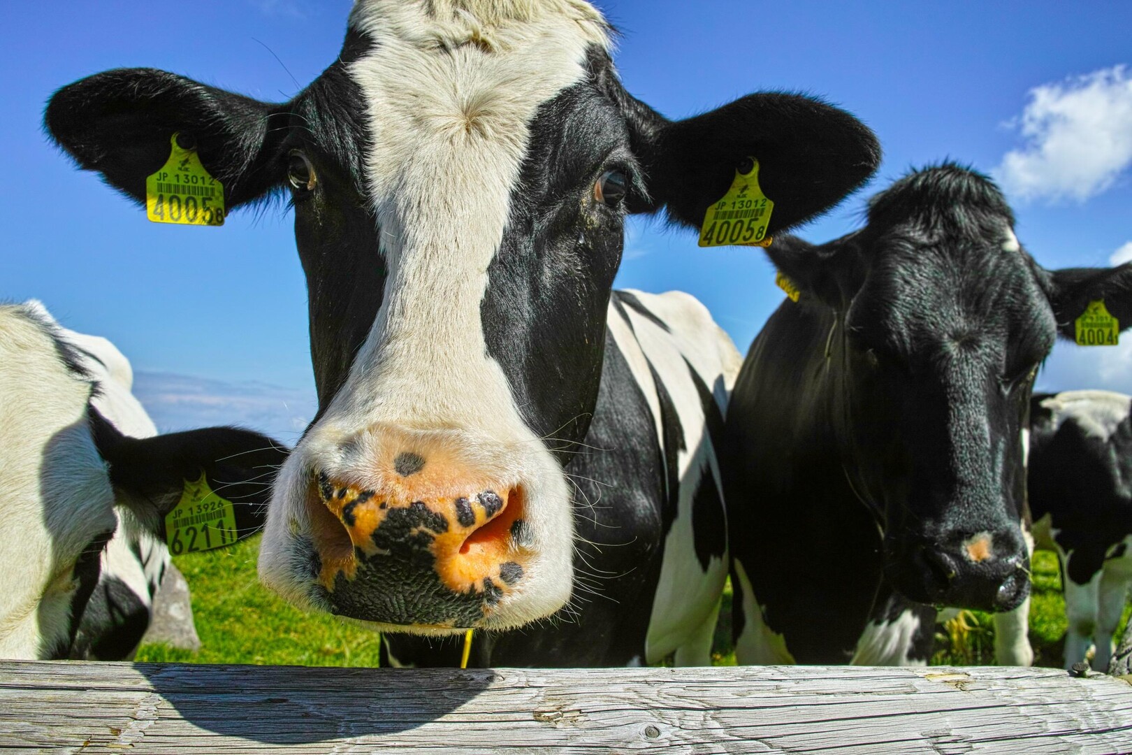 アプリの仕様が変わって、活動日記がおすす... / Windyさんのモーメント | YAMAP / ヤマップ