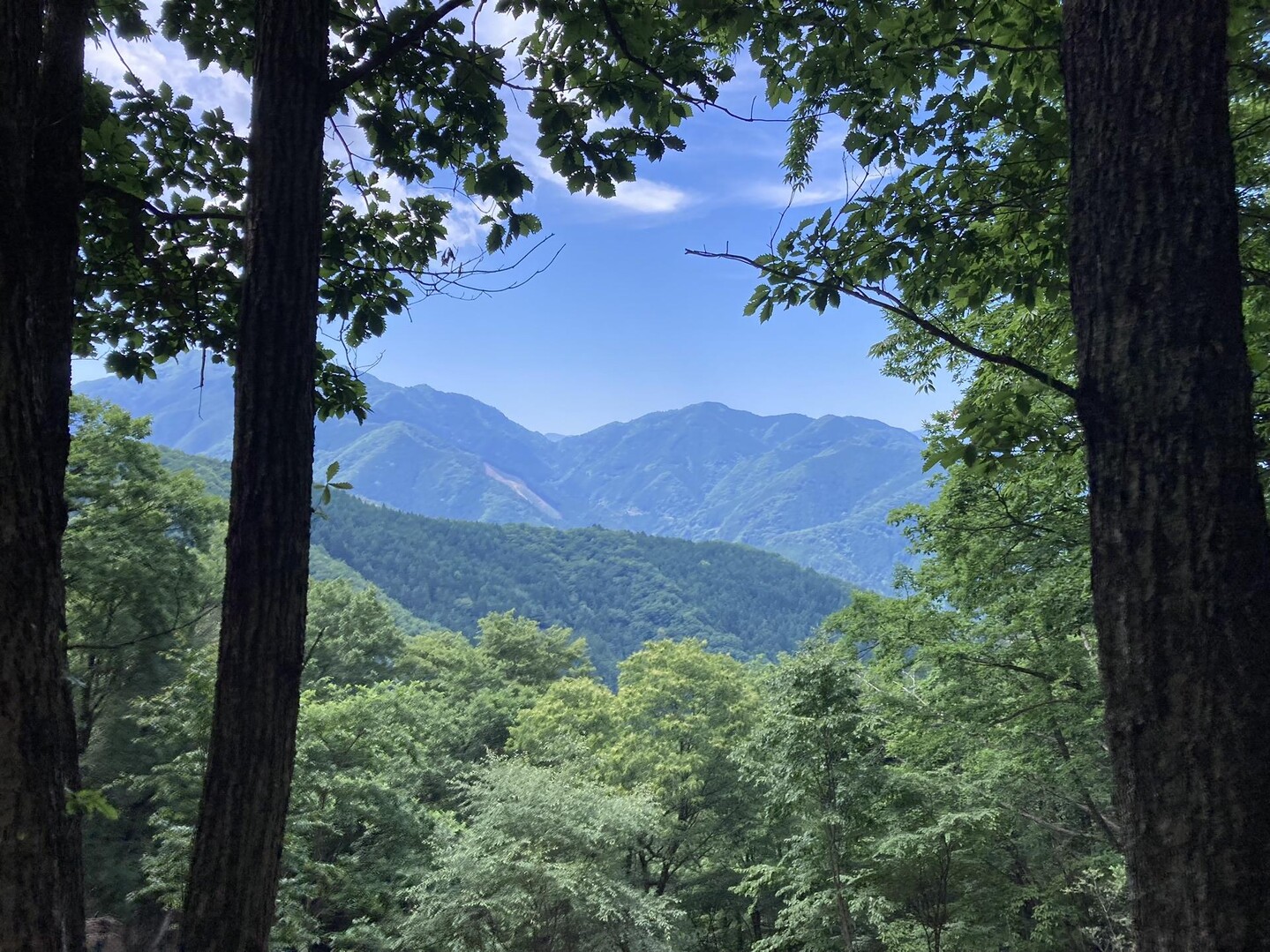 大羽根山 / BONDIさんのウォーキングの活動日記 | YAMAP / ヤマップ