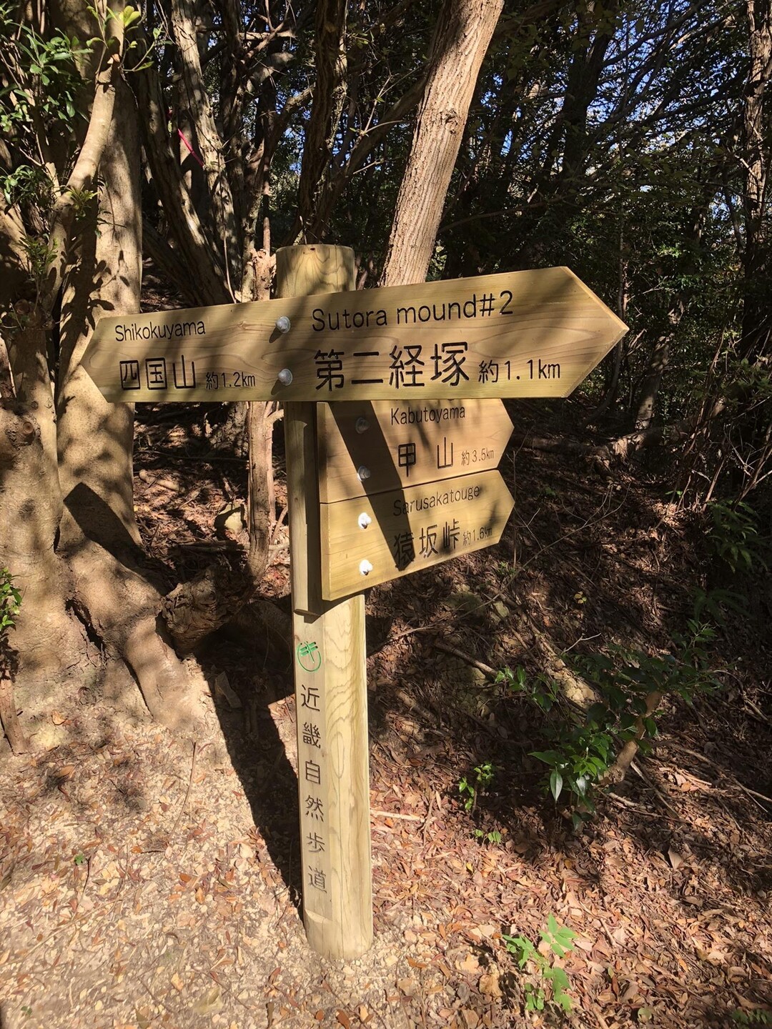 四国山、高森山 / 和歌山Pさんのモーメント | YAMAP / ヤマップ