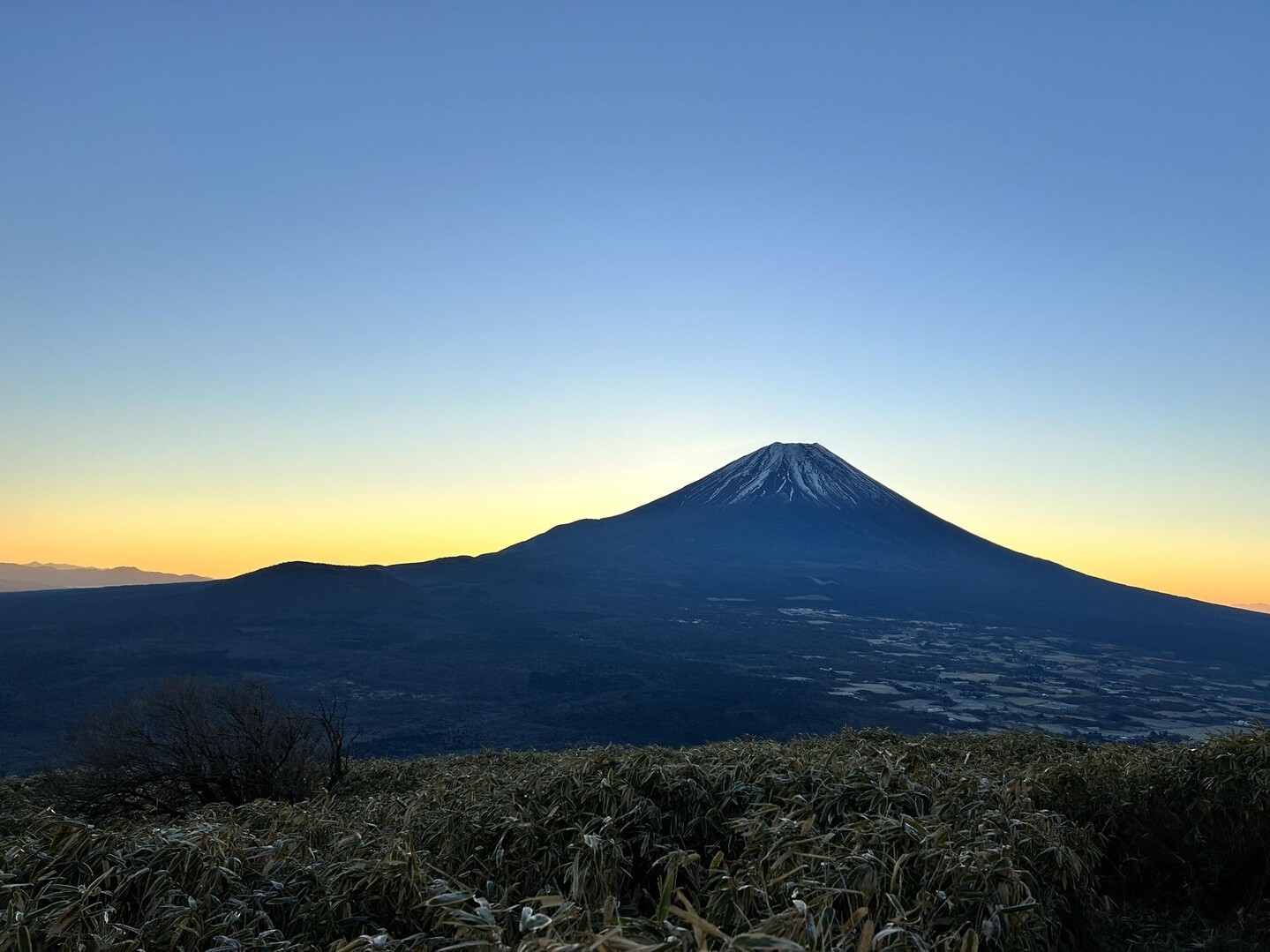 竜と3776ct(vol.5) / あきTRさんの毛無山・雨ヶ岳・竜ヶ岳の活動データ | YAMAP / ヤマップ