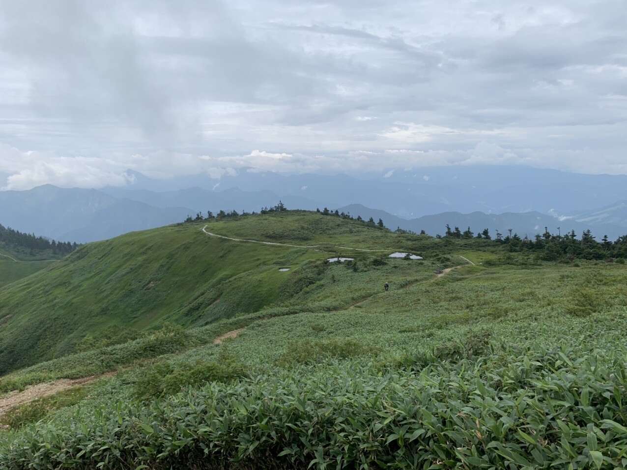 前巻機・御機屋（巻機山 山標柱）・巻機山 / togonovoさんの巻機山・割引岳・金城山の活動データ | YAMAP / ヤマップ