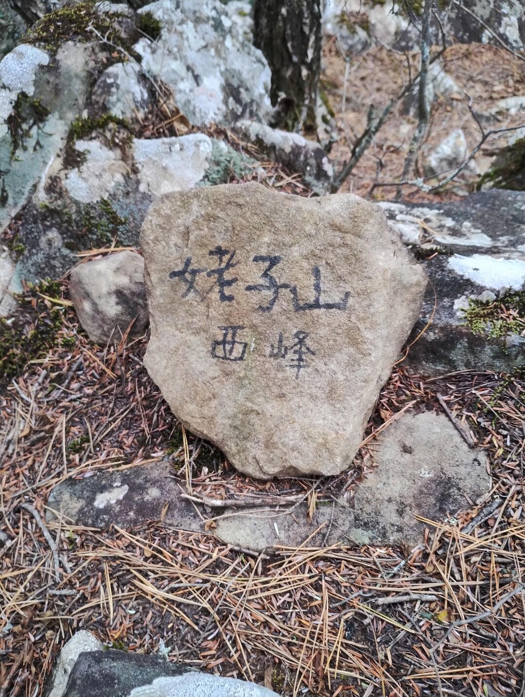 雁ヶ腹摺山・姥子山（西峰）・姥子山（東峰） / timさんの雁ヶ腹摺山・岩殿山の活動データ | YAMAP / ヤマップ