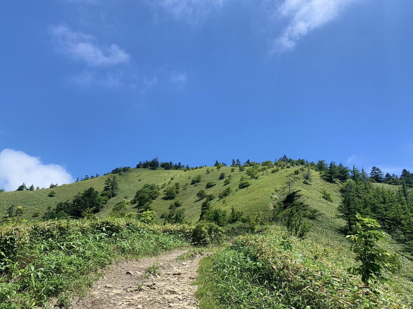快晴🐰☀️横岳・大川入山 / risaさんの大川入山・横岳の活動データ | YAMAP / ヤマップ