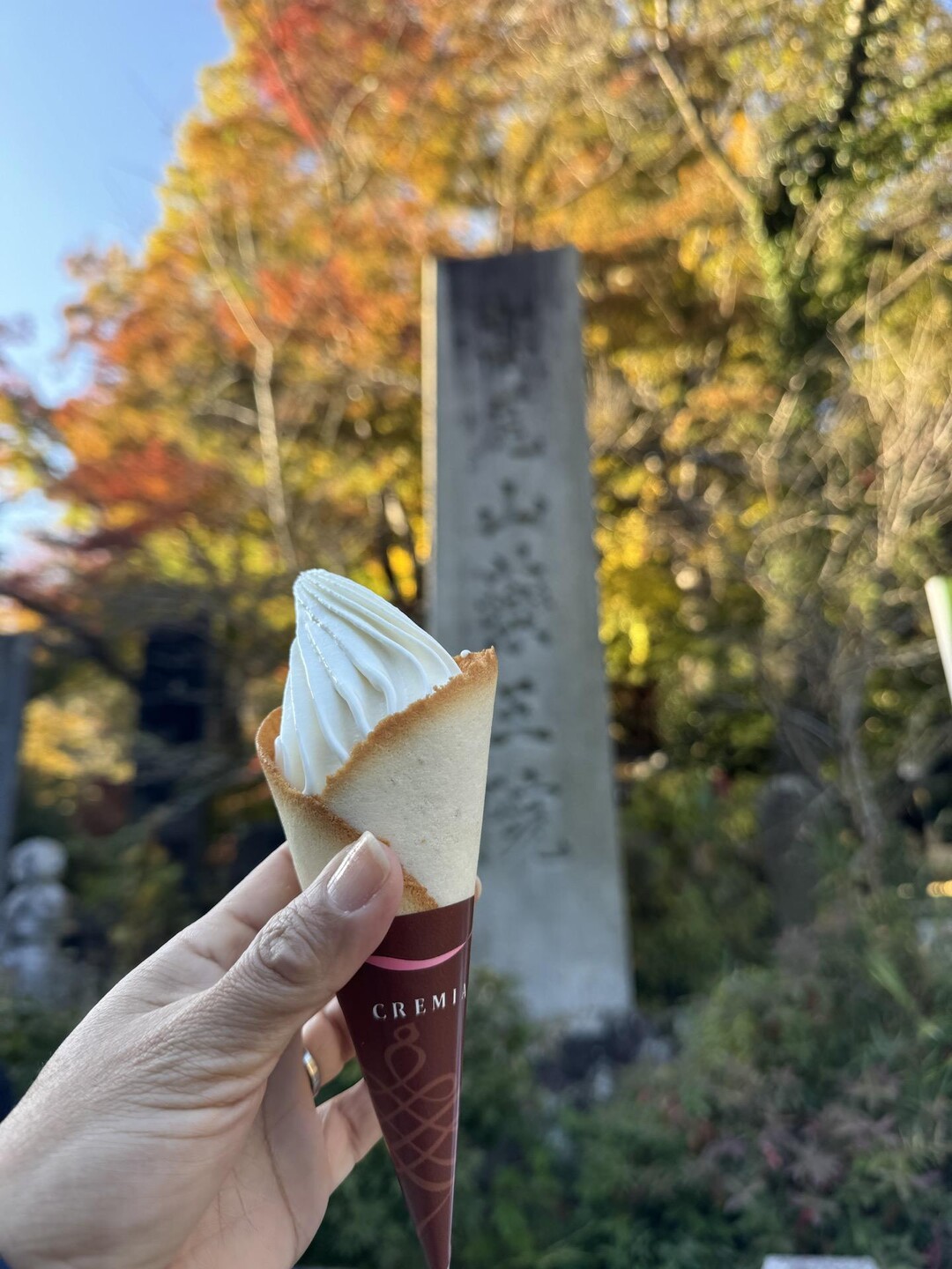 高尾山・神変山 / Annさんの高尾山・陣馬山・景信山の活動データ | YAMAP / ヤマップ