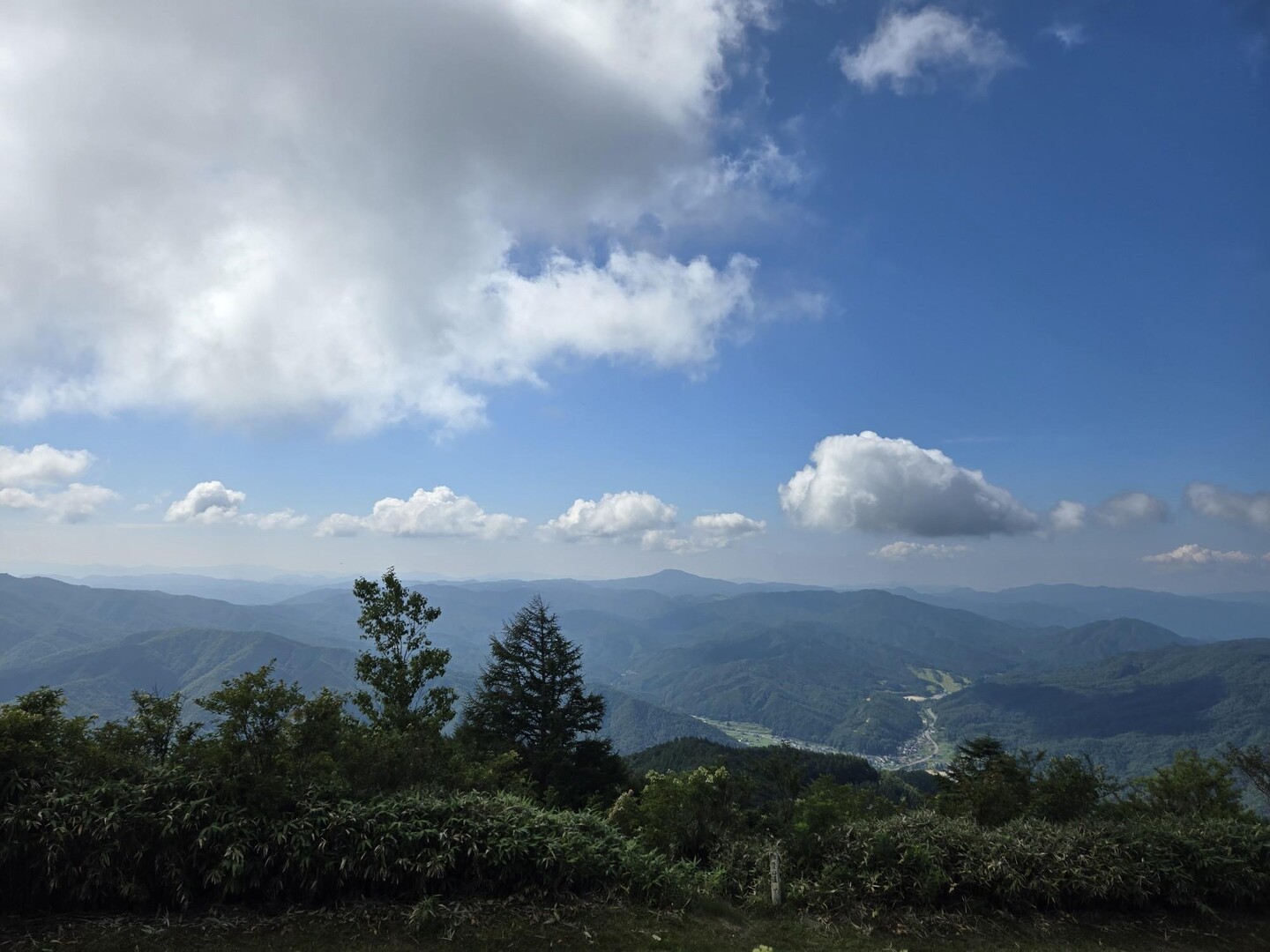 長者峰で熊🐻発見 / yt_jim80さんの高嶺山・長者峰の活動データ | YAMAP / ヤマップ