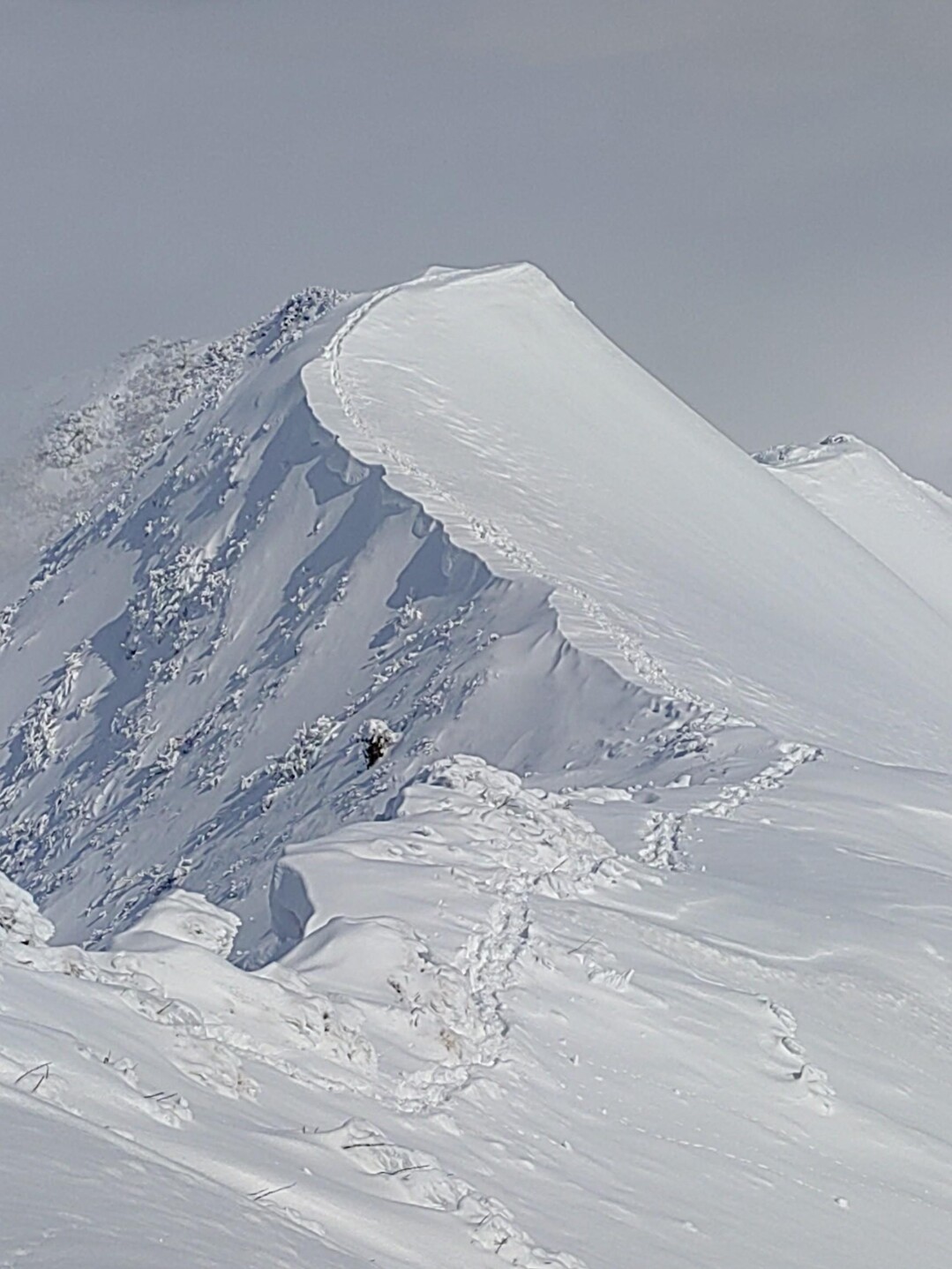 鳥取大山(剣ヶ峰) / Kozyさんの大山・甲ヶ山・野田ヶ山の活動データ | YAMAP / ヤマップ