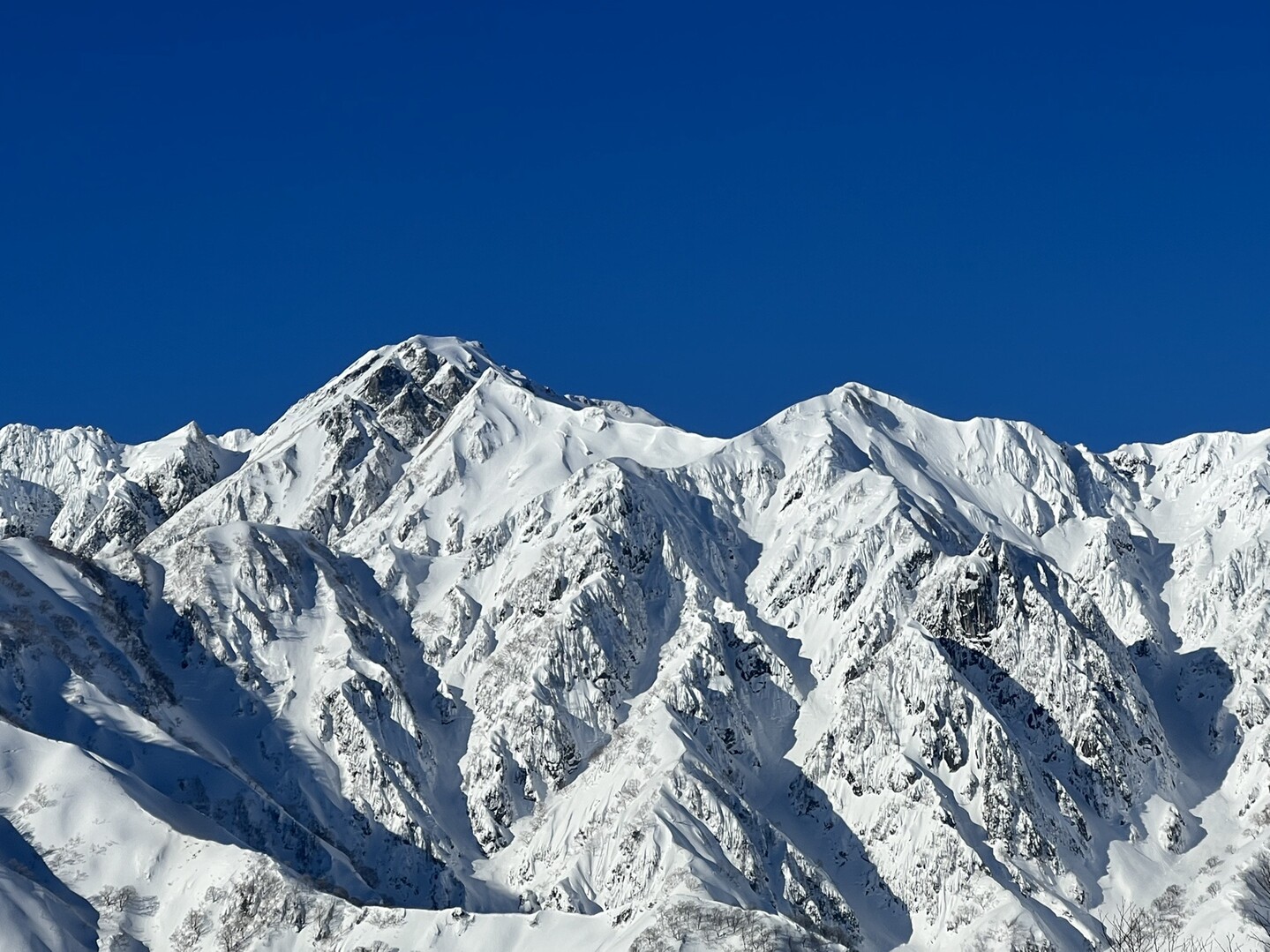 R4.1.9 快晴の五竜 / matyさんのモーメント | YAMAP / ヤマップ