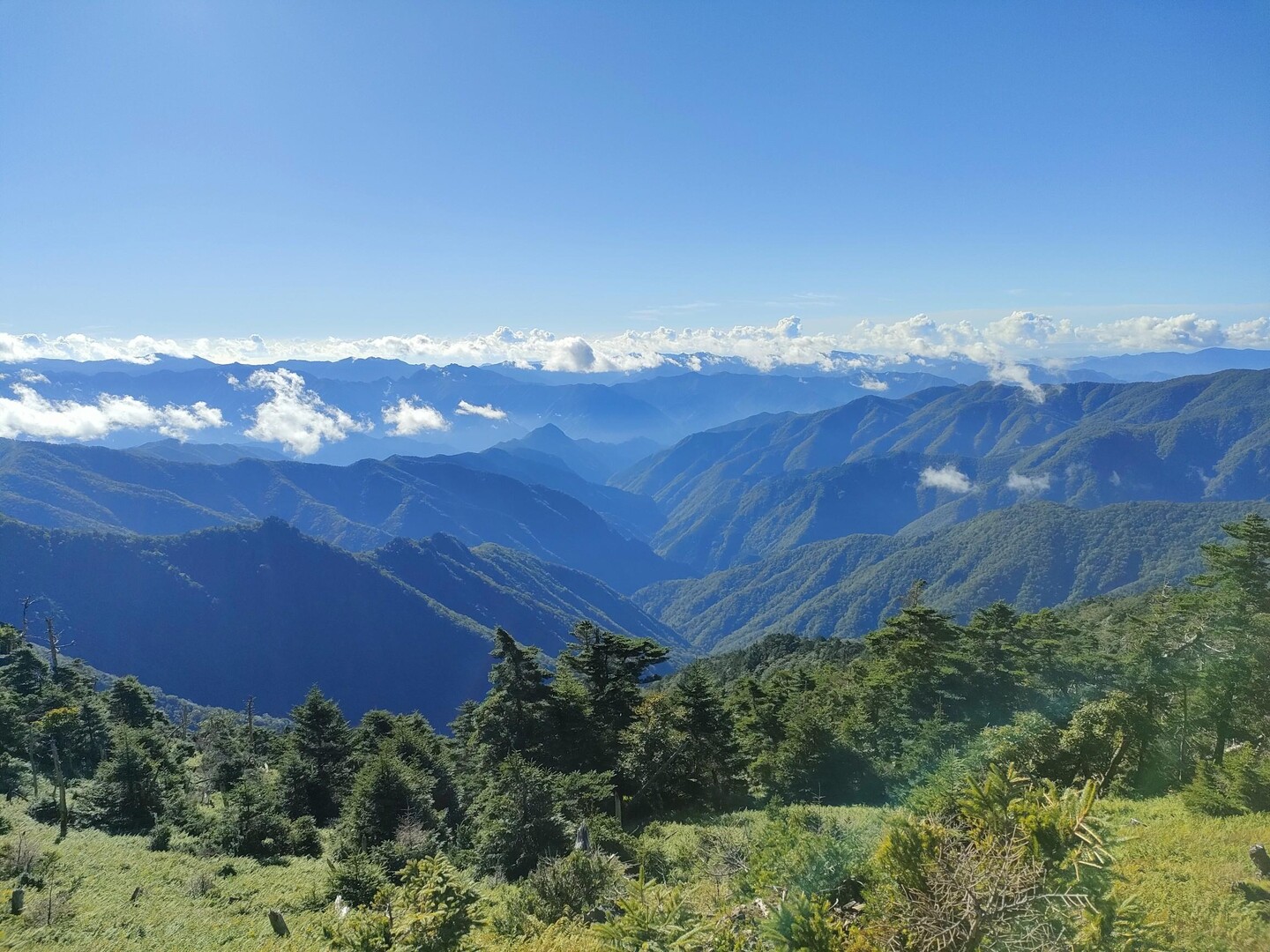 小屋泊デビューで、近畿最高峰を制覇😁 弥山・八経ヶ岳・天女の頂・洞川温泉 / komaJさんの八経ヶ岳の活動データ | YAMAP / ヤマップ