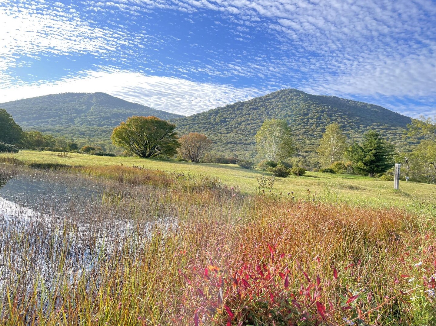 西森山・前森山 / Ku-2さんの岩手山・八幡平・安比高原 50km トレイルの活動データ | YAMAP / ヤマップ