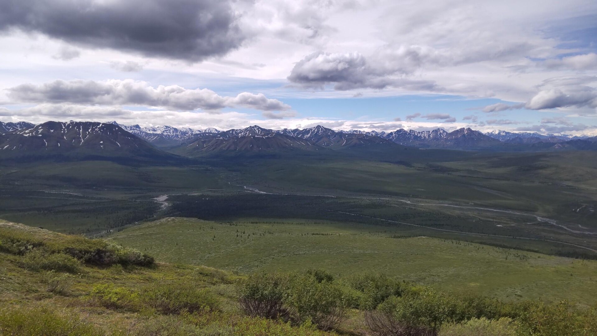 デナリ国立公園 Savage Alpine trail / tsuntsukeさんのデナリ国立公園 その2の活動データ | YAMAP / ヤマップ