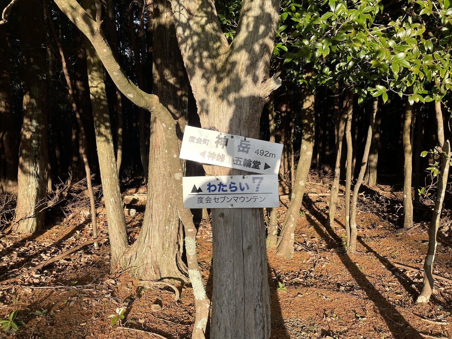 渡会7 神薗の頭・神岳 / Mr.NOさんの牛草山・神岳の活動データ | YAMAP / ヤマップ
