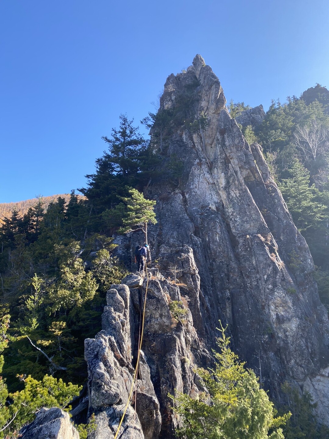 小川山・野猿返し / r.mさんの瑞牆山・金峰山の活動データ | YAMAP / ヤマップ