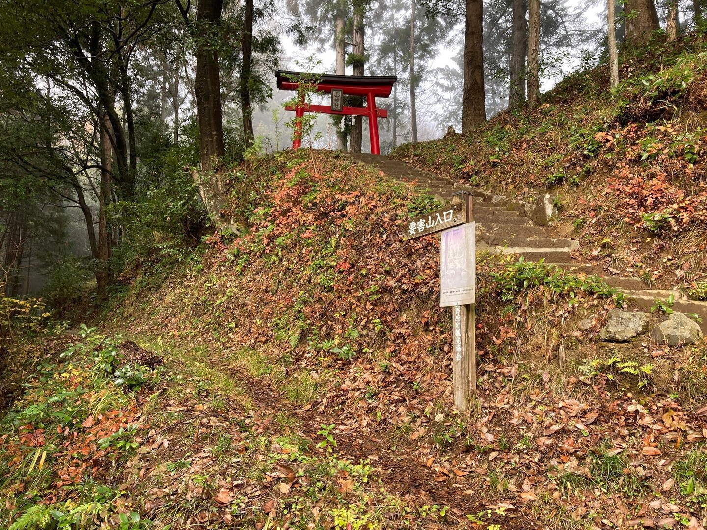 ＋54の来た道 さんの投稿したフィールドメモ | YAMAP / ヤマップ