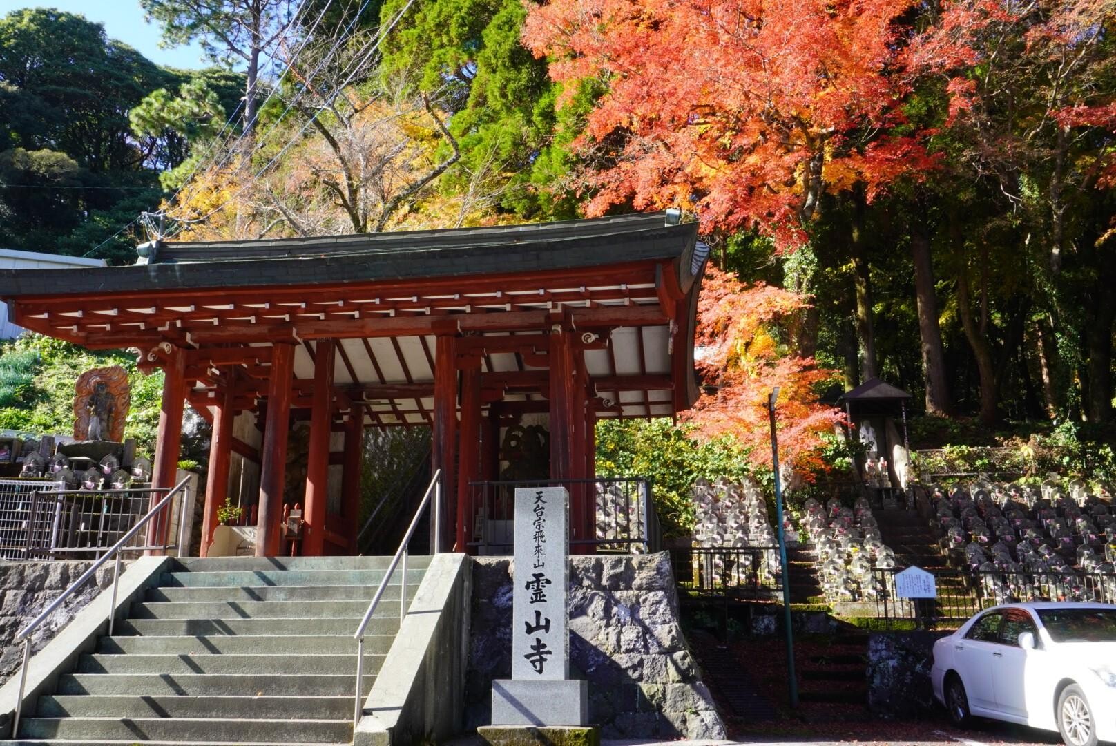 飛来山・霊山 / natyuさんの障子岳・霊山・飛来山・本宮山の活動日記 | YAMAP / ヤマップ