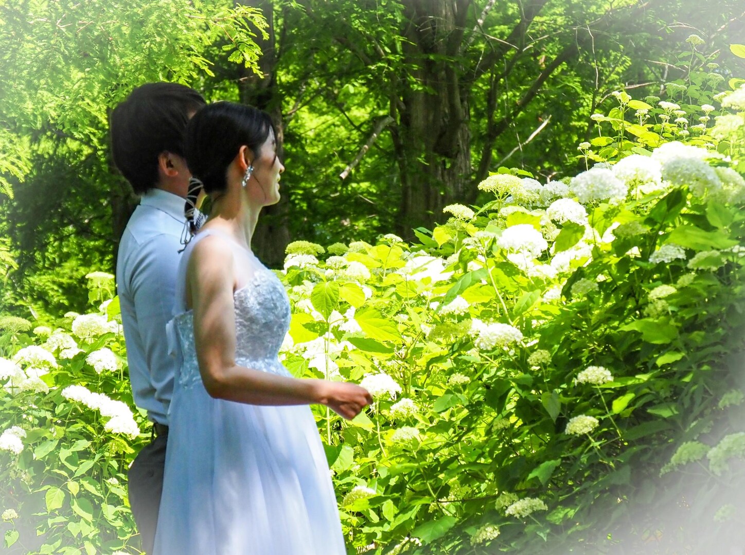 森林植物園で紫陽花鑑賞🌸 / YAMA-Gさんの六甲山・長峰山・摩耶山の活動データ | YAMAP / ヤマップ