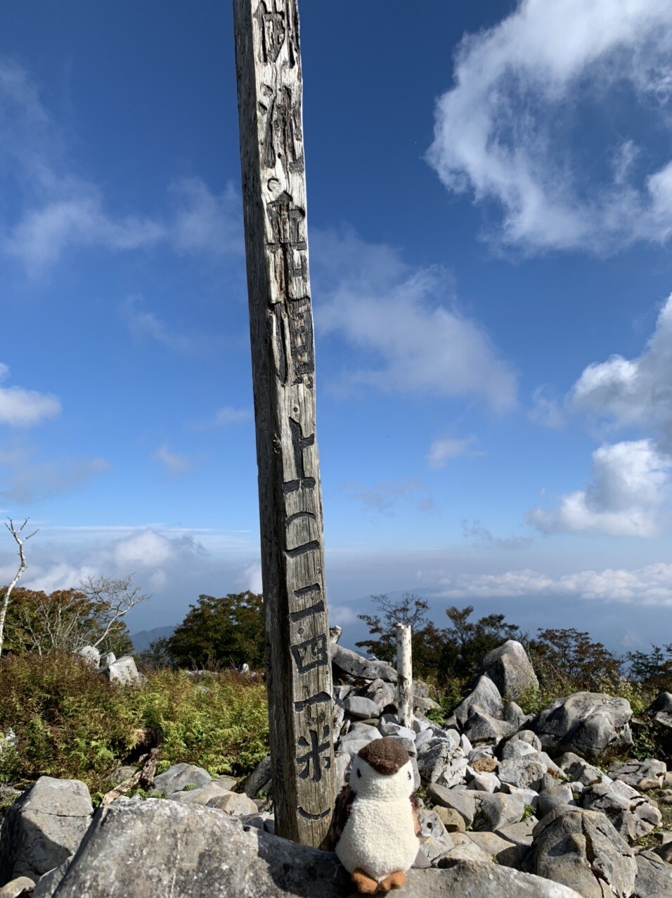 御池岳・鈴北岳 / kapiさんの藤原岳・御池岳の活動データ | YAMAP / ヤマップ